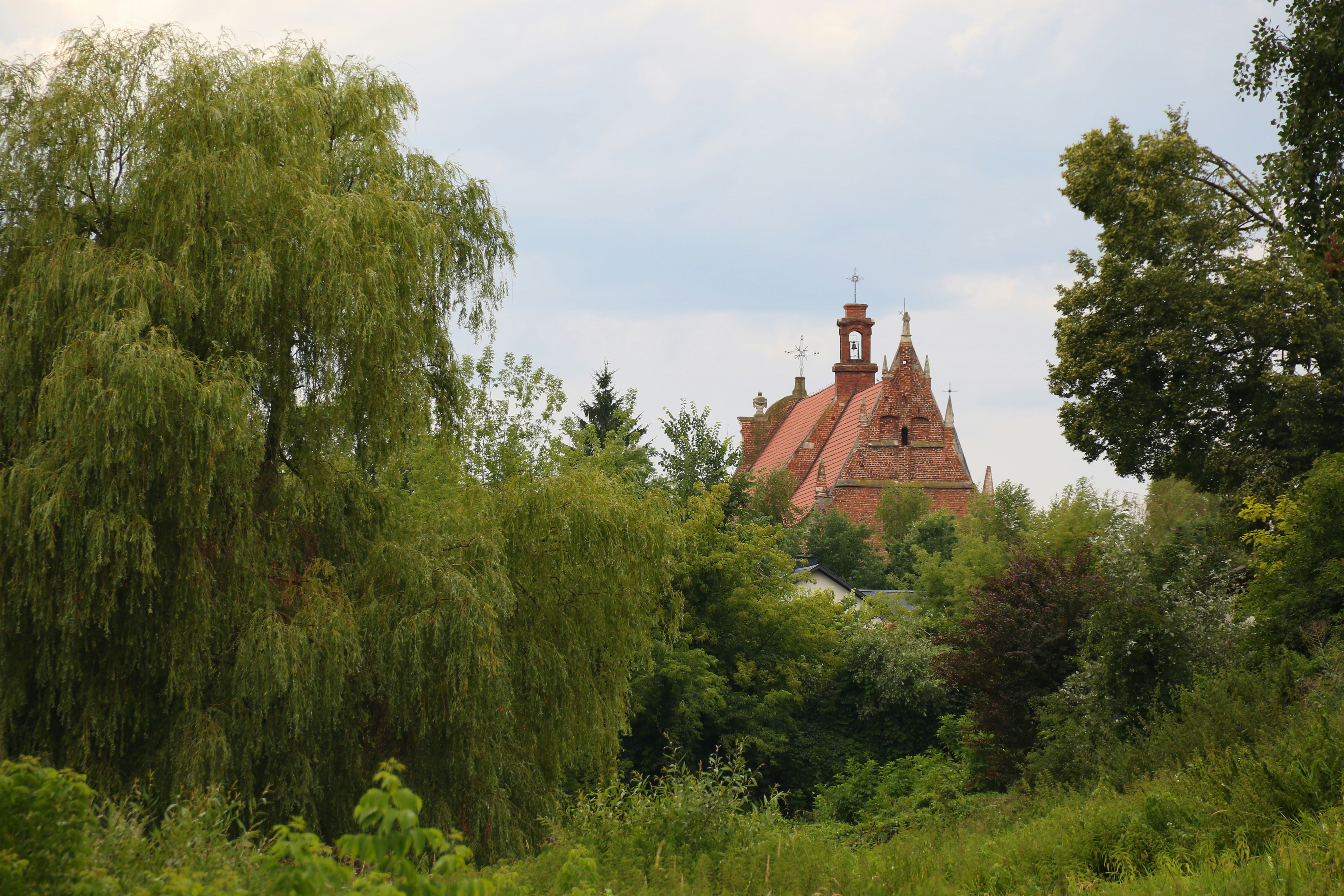 Whispers of History Amidst Verdant Serenity