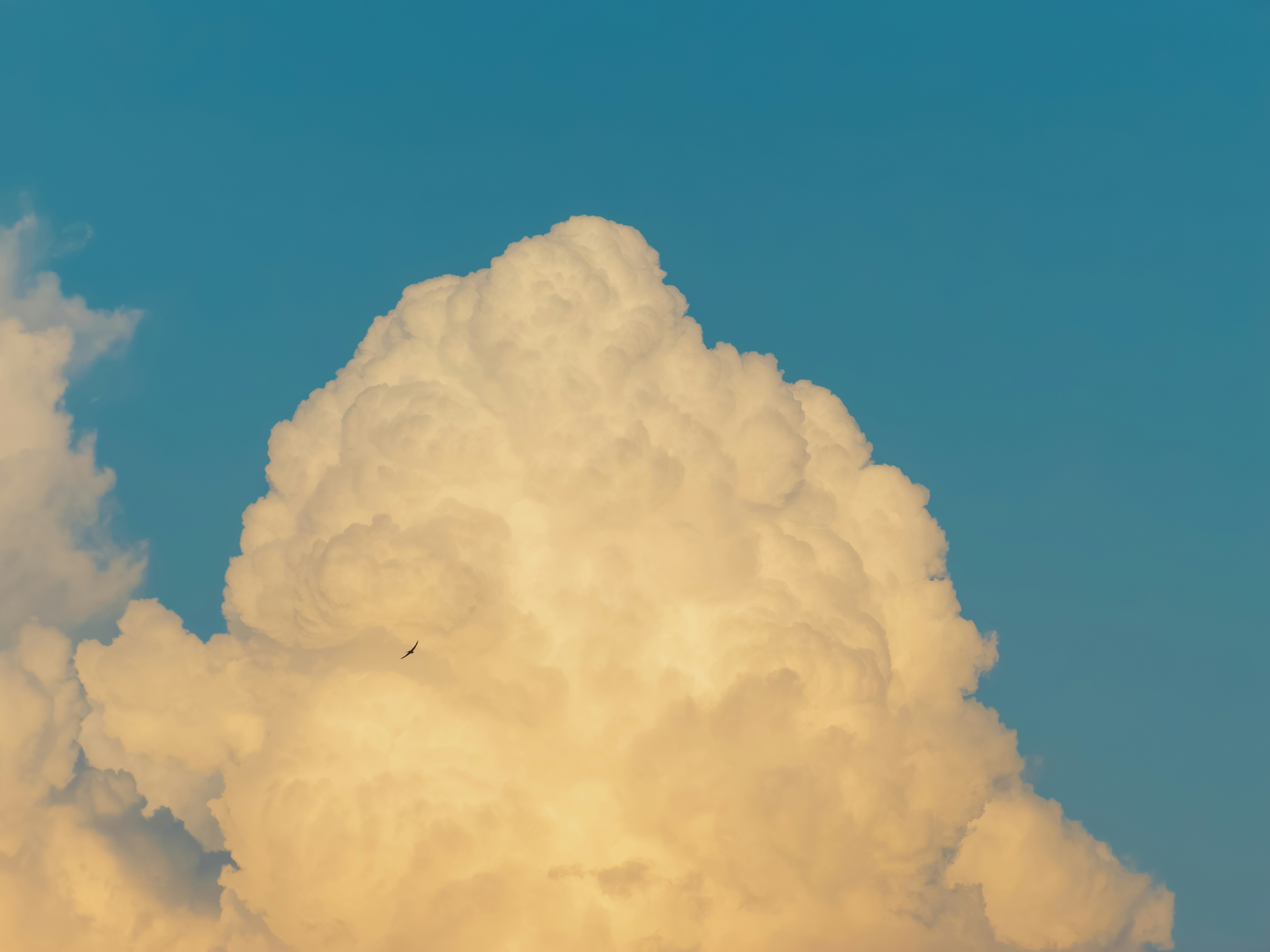 Fluffy white cloud against a clear blue sky