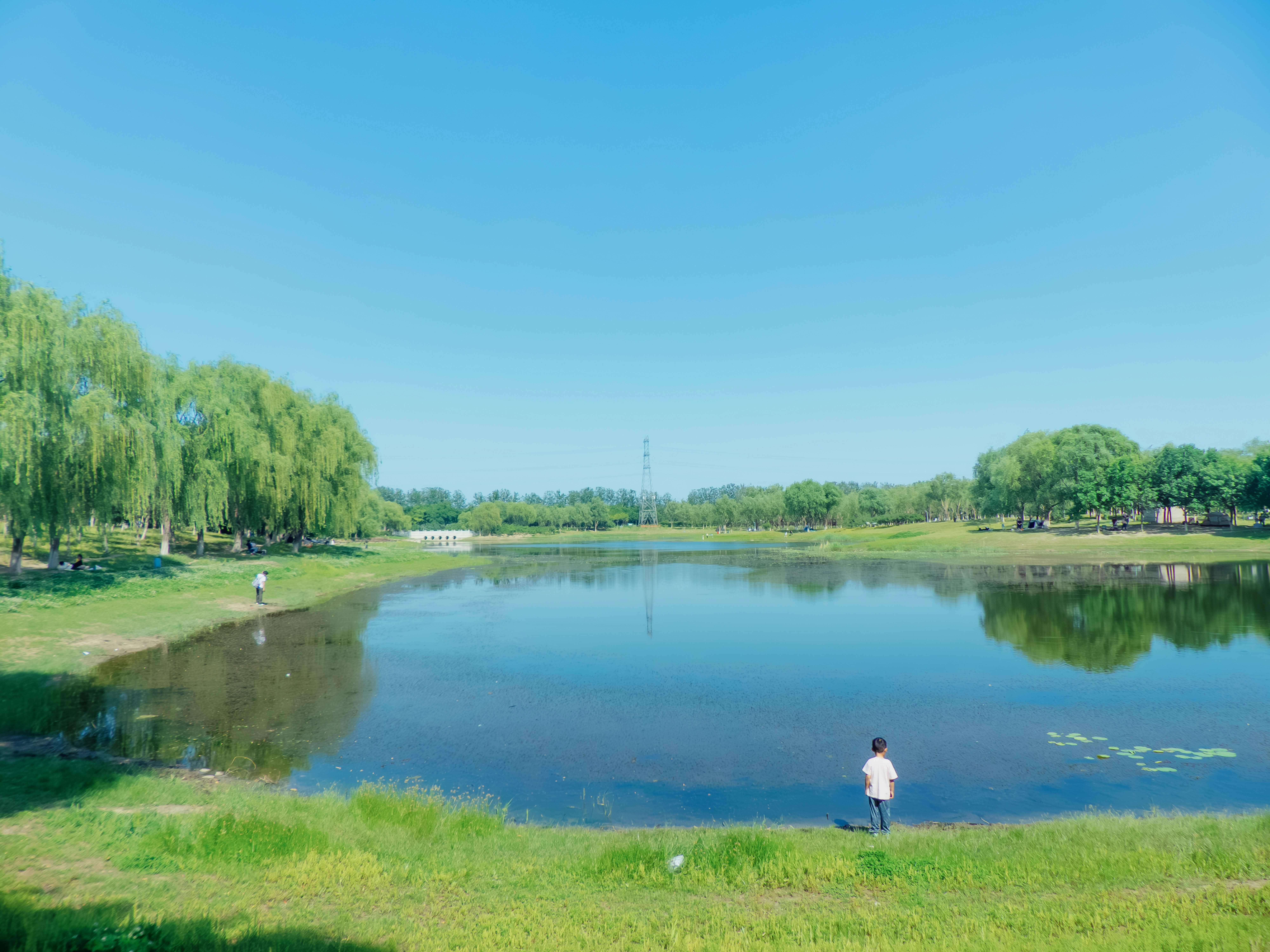 Two individuals exploring the tranquil shores of a serene lake, surrounded by lush greenery under a clear blue sky.