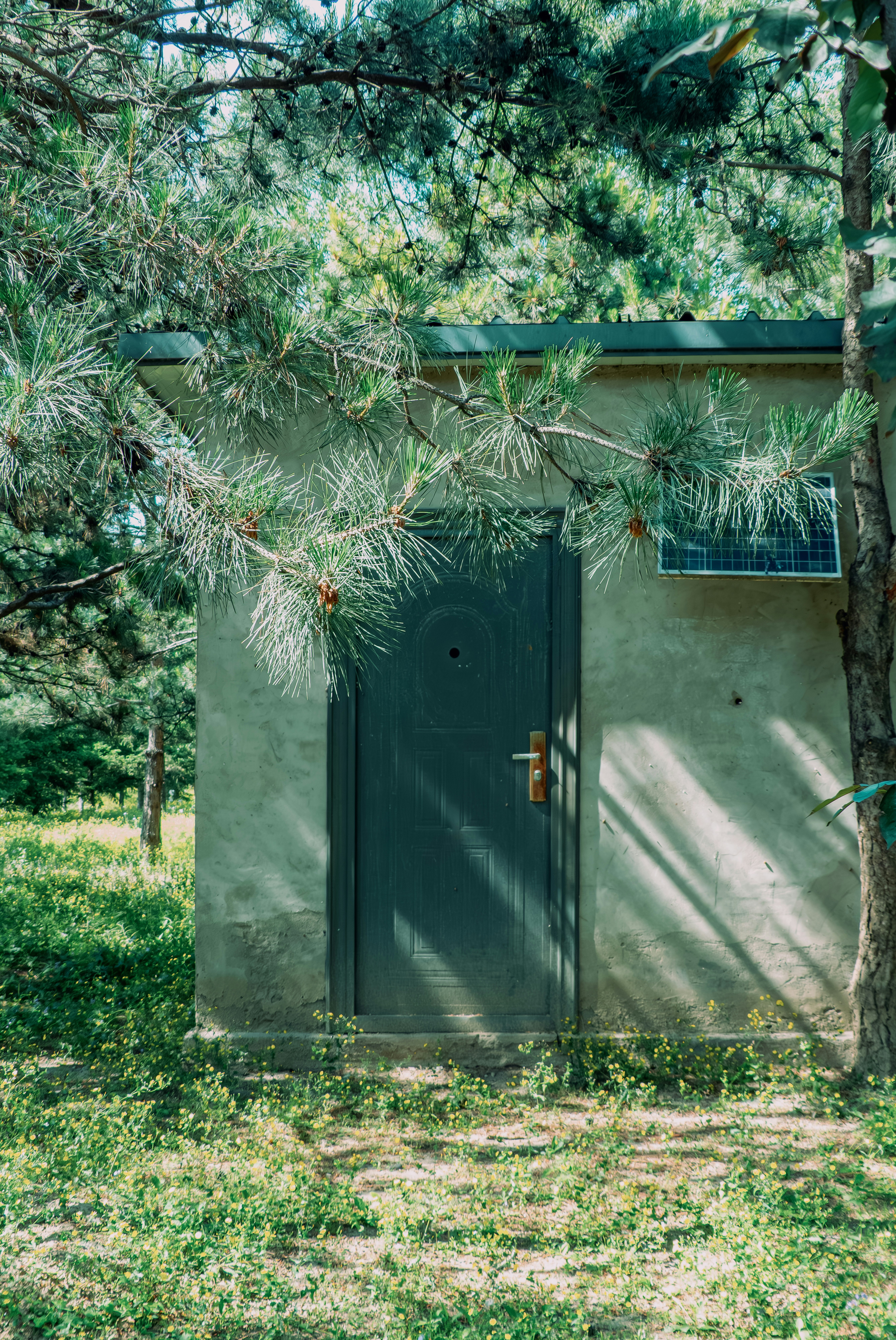 Small concrete building with a dark door in a forest.