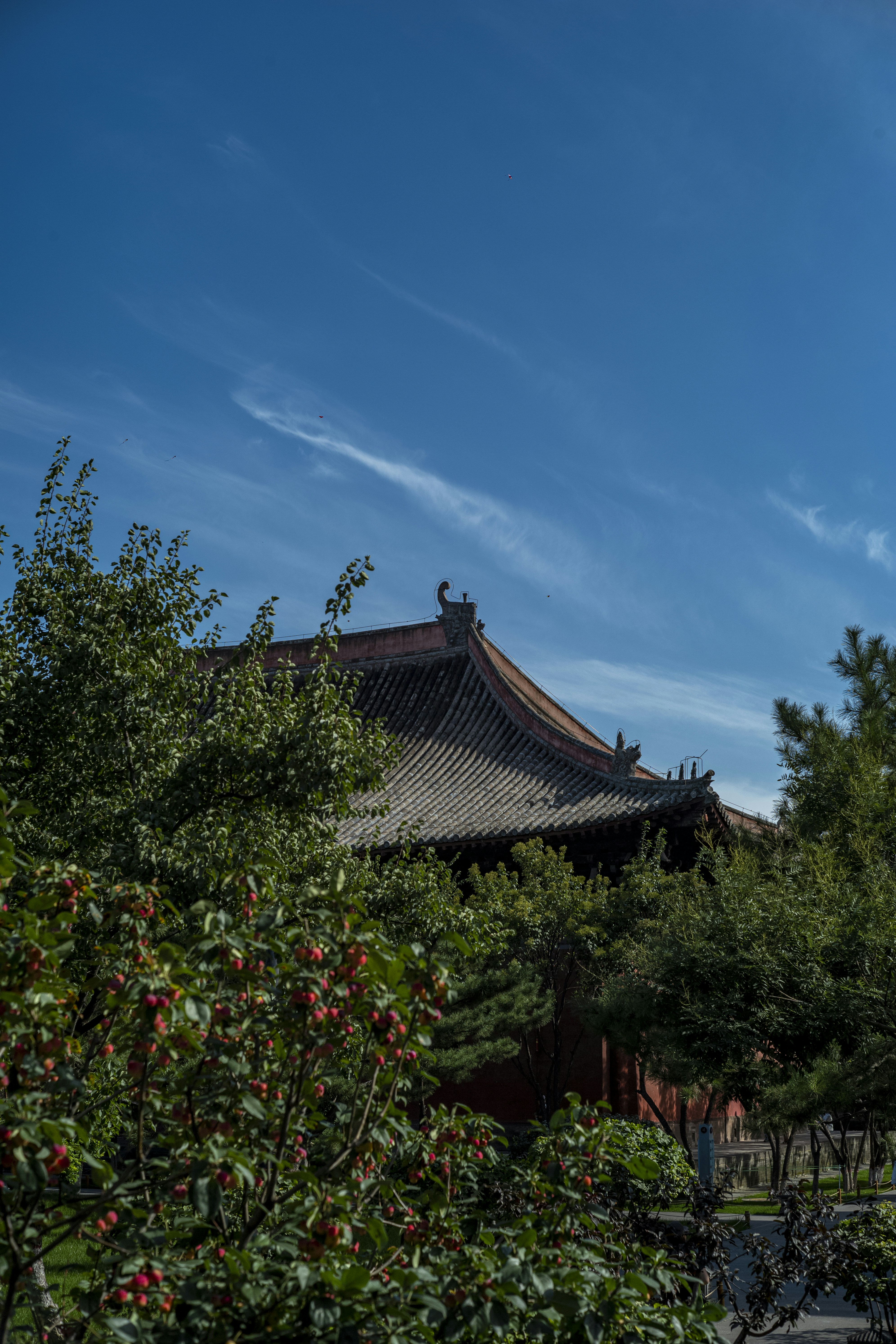 Harmony of Nature and Architecture
