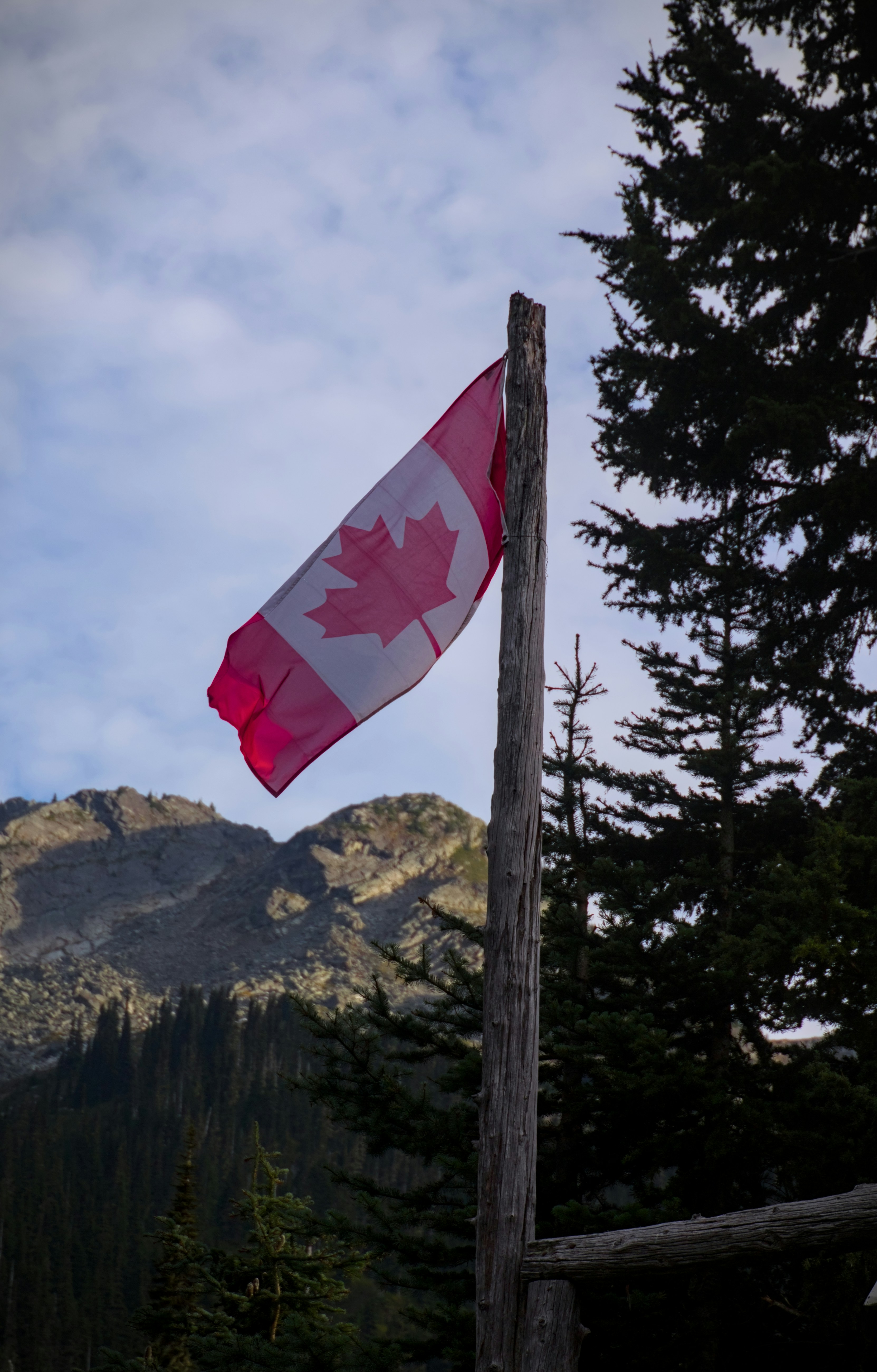 Emblem of Resilience Against a Majestic Backdrop