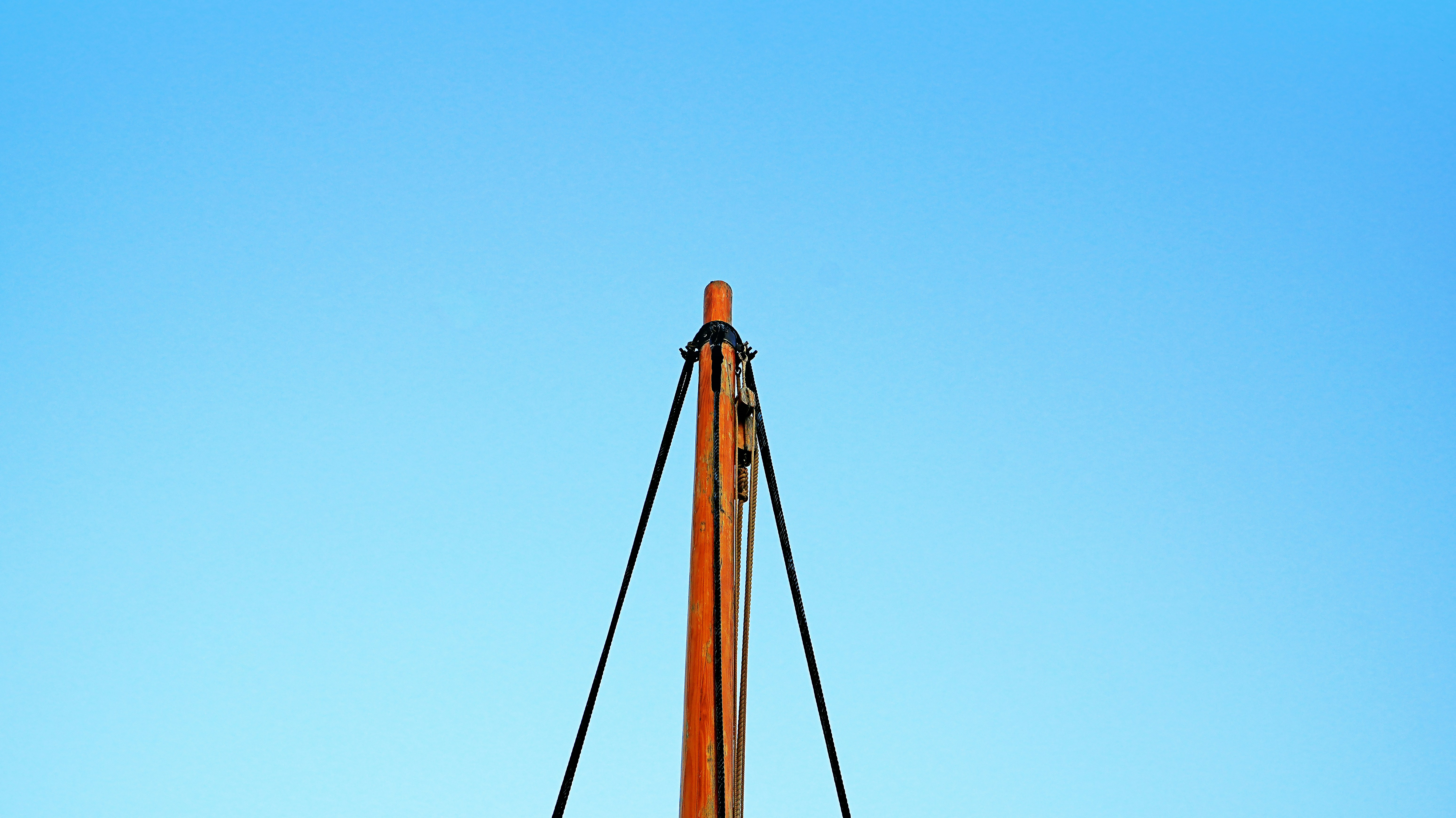 Vertical Harmony: The Silent Sentinel