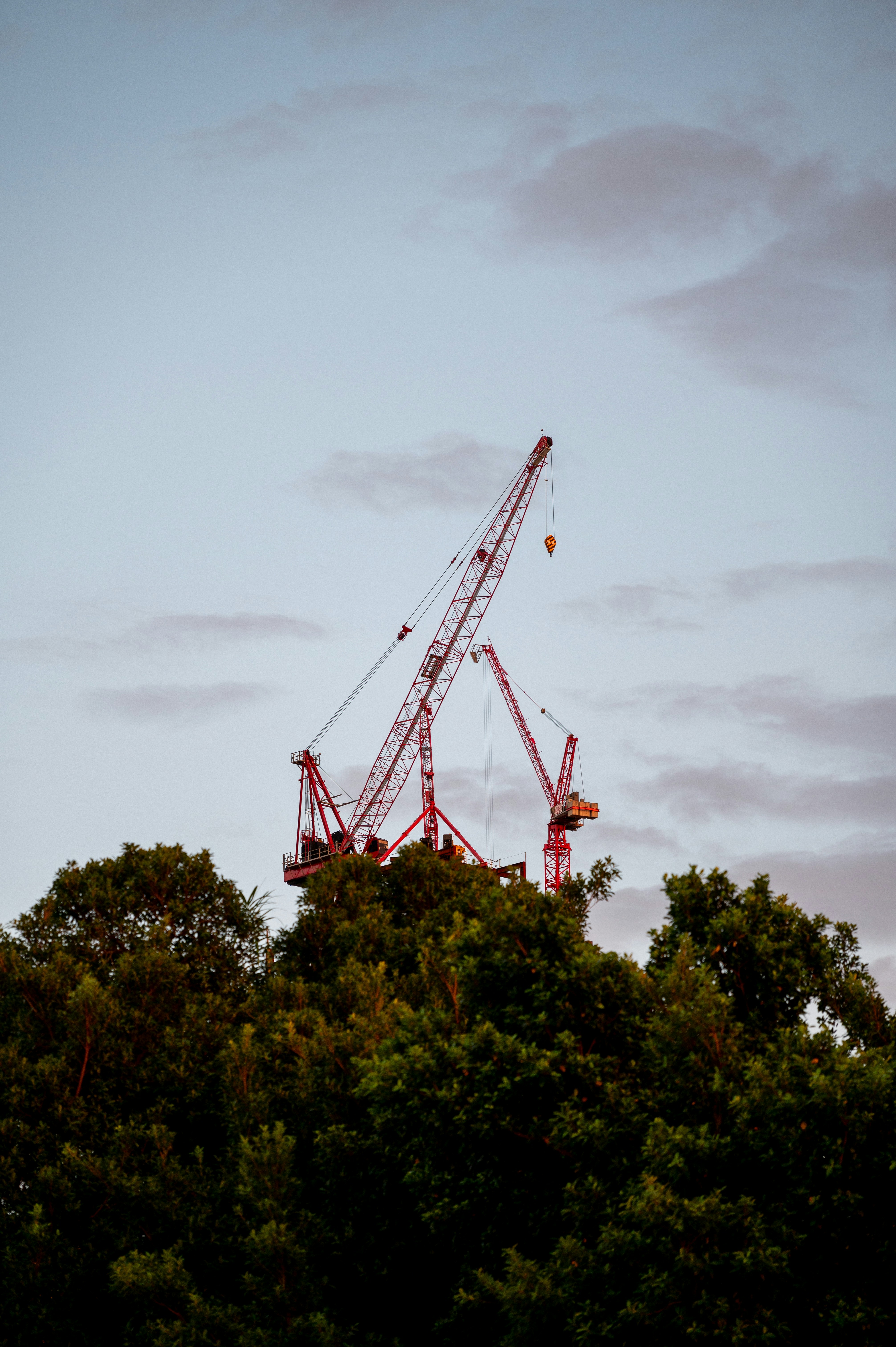 Two construction cranes rise above green trees.