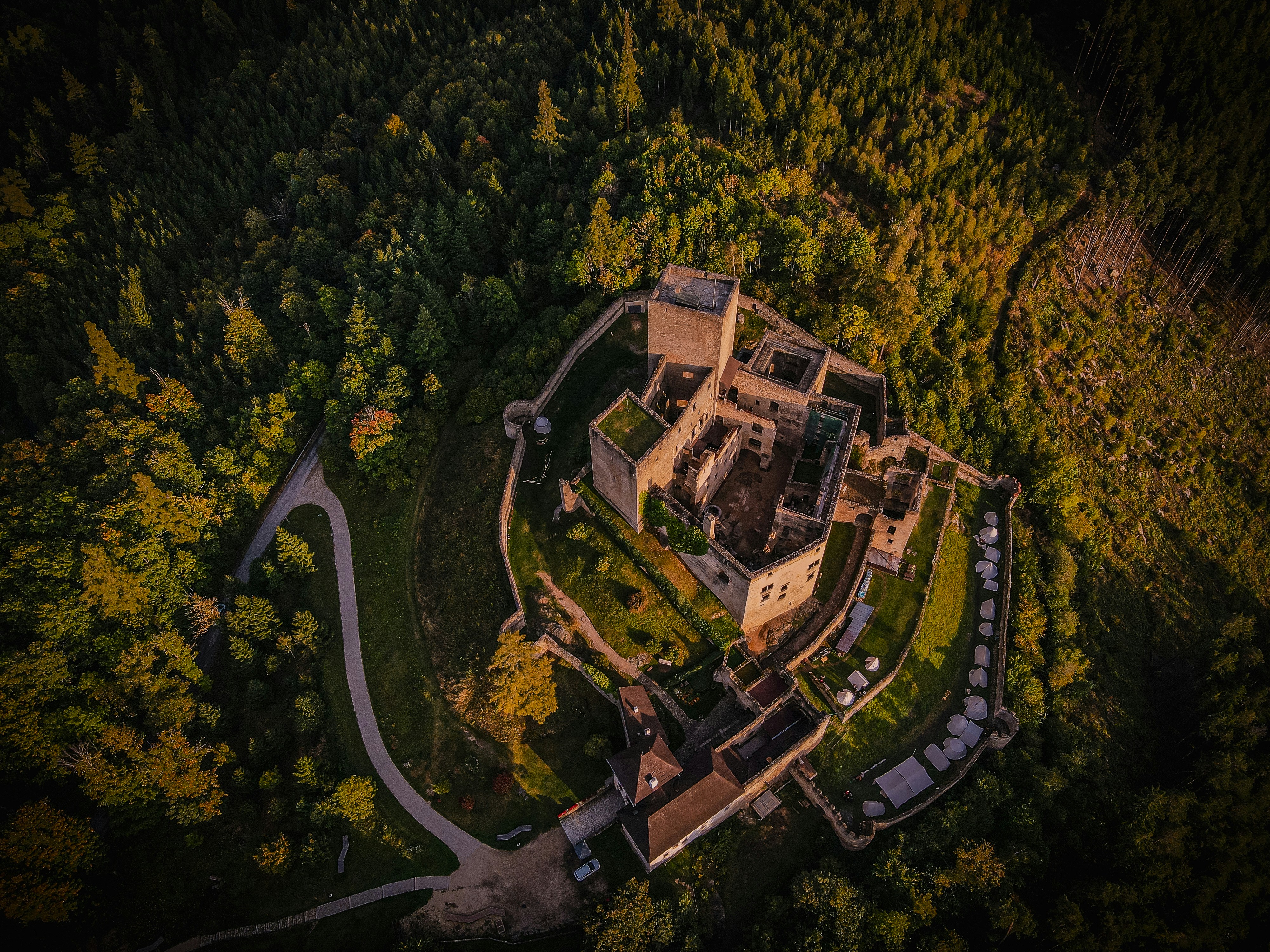Ancient castle ruins nestled within a dense forest.