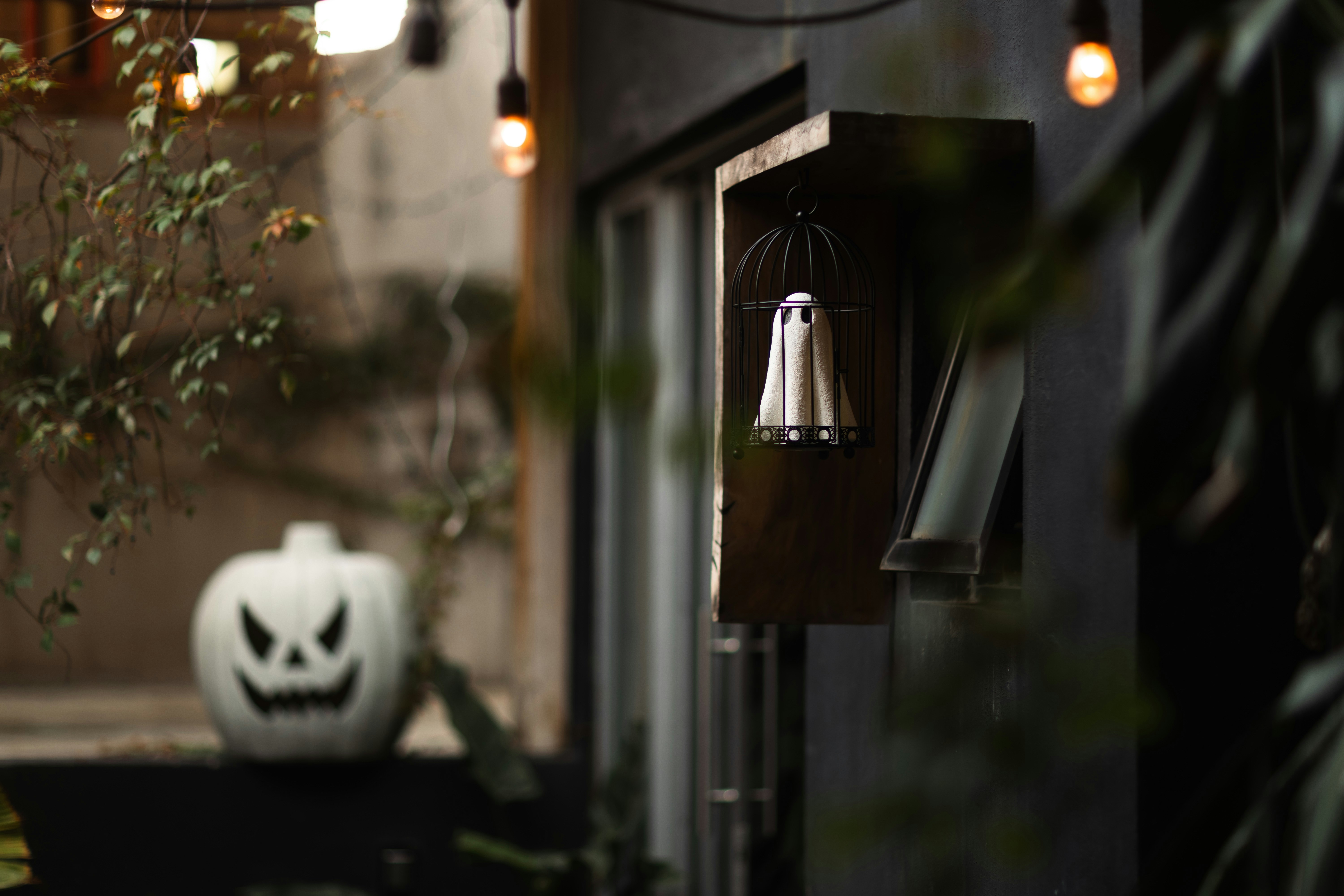 Whimsical Lanterns and Spooky Shadows