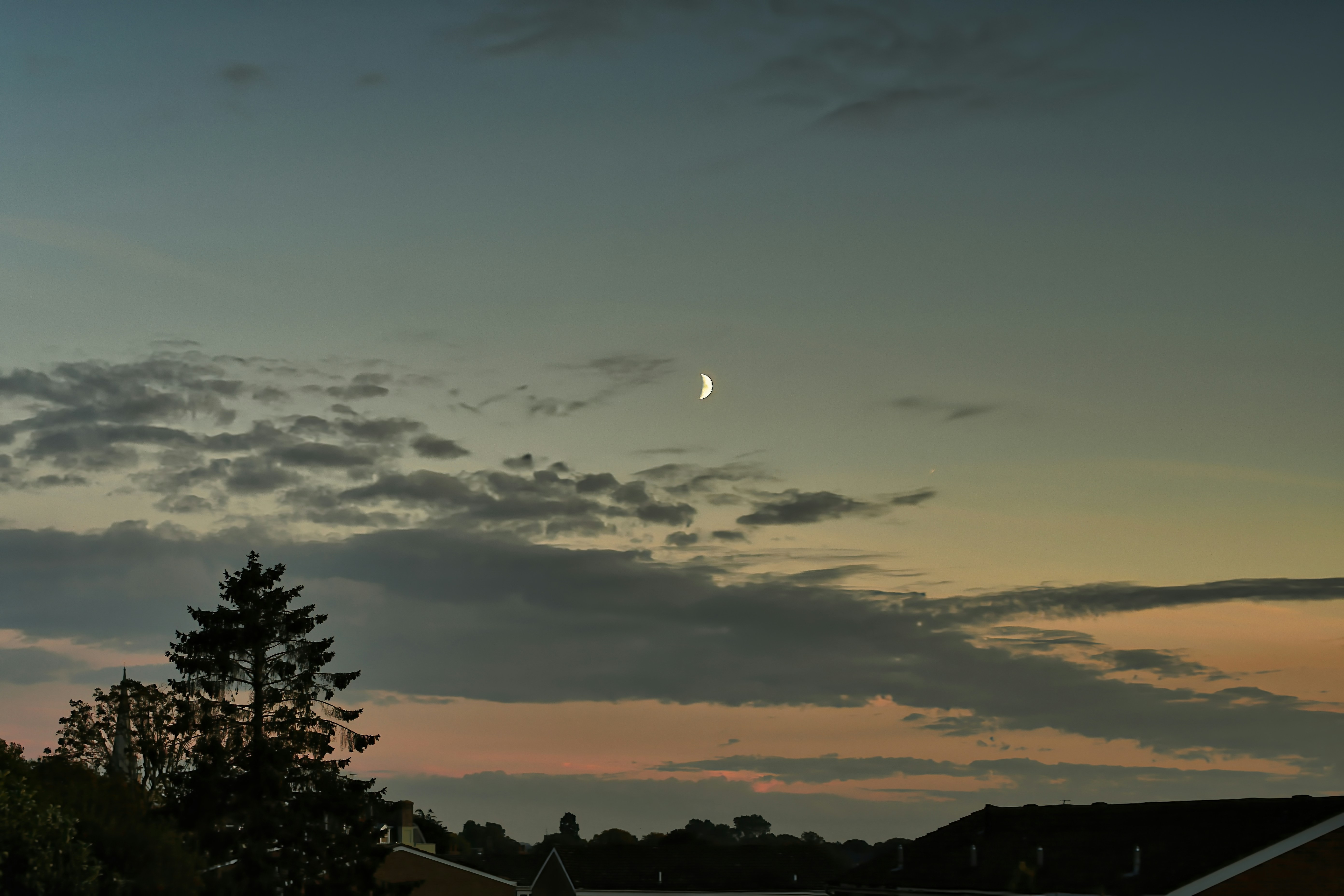 Whispers of Twilight: A Crescent Moon's Embrace