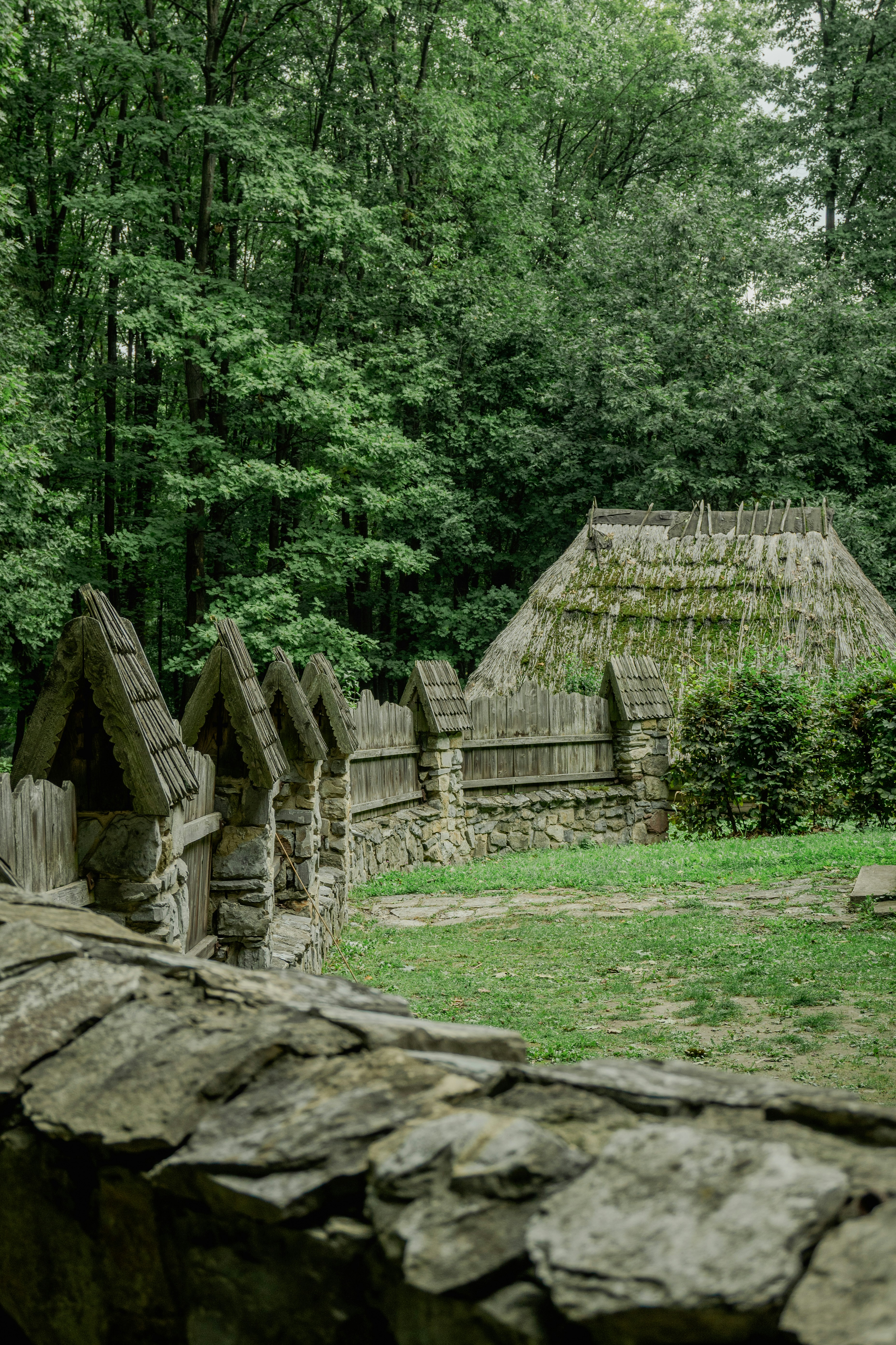 Whispers of the Past: A Forgotten Homestead