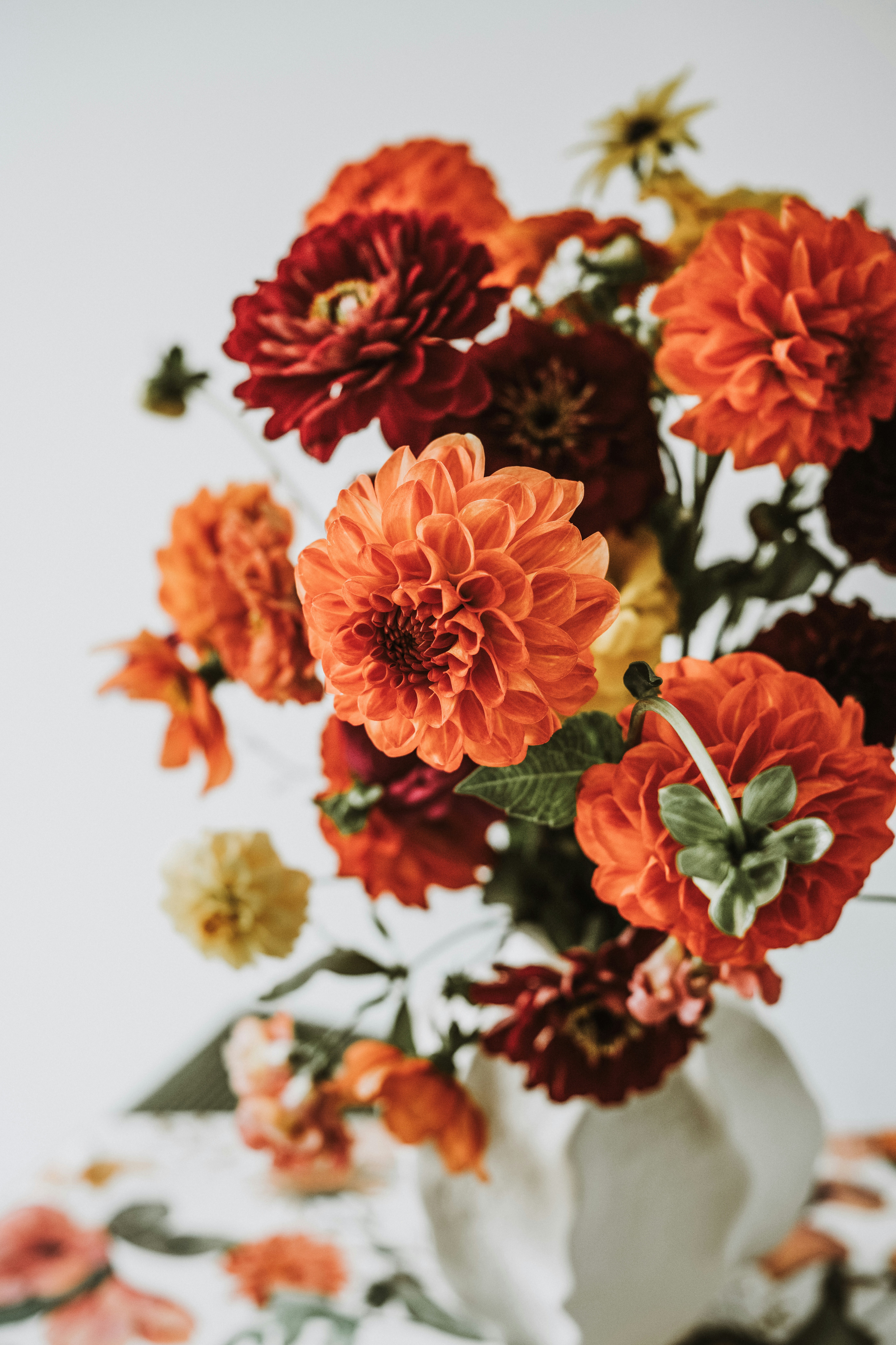 A bouquet of vivid dahlias in shades of orange and red, arranged in a minimalist vase against a soft background.