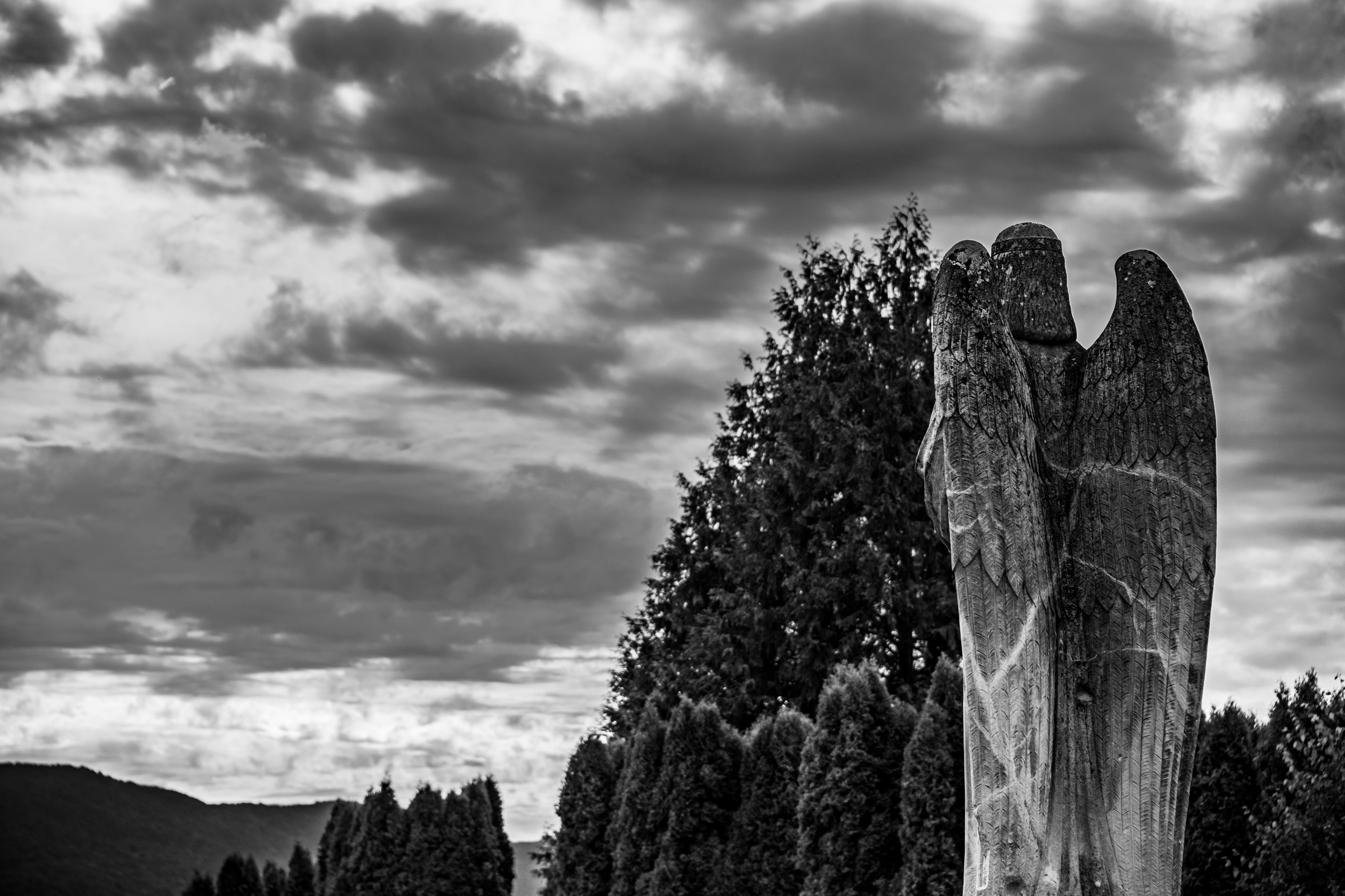 Whispers of the Past: A Wooden Guardian