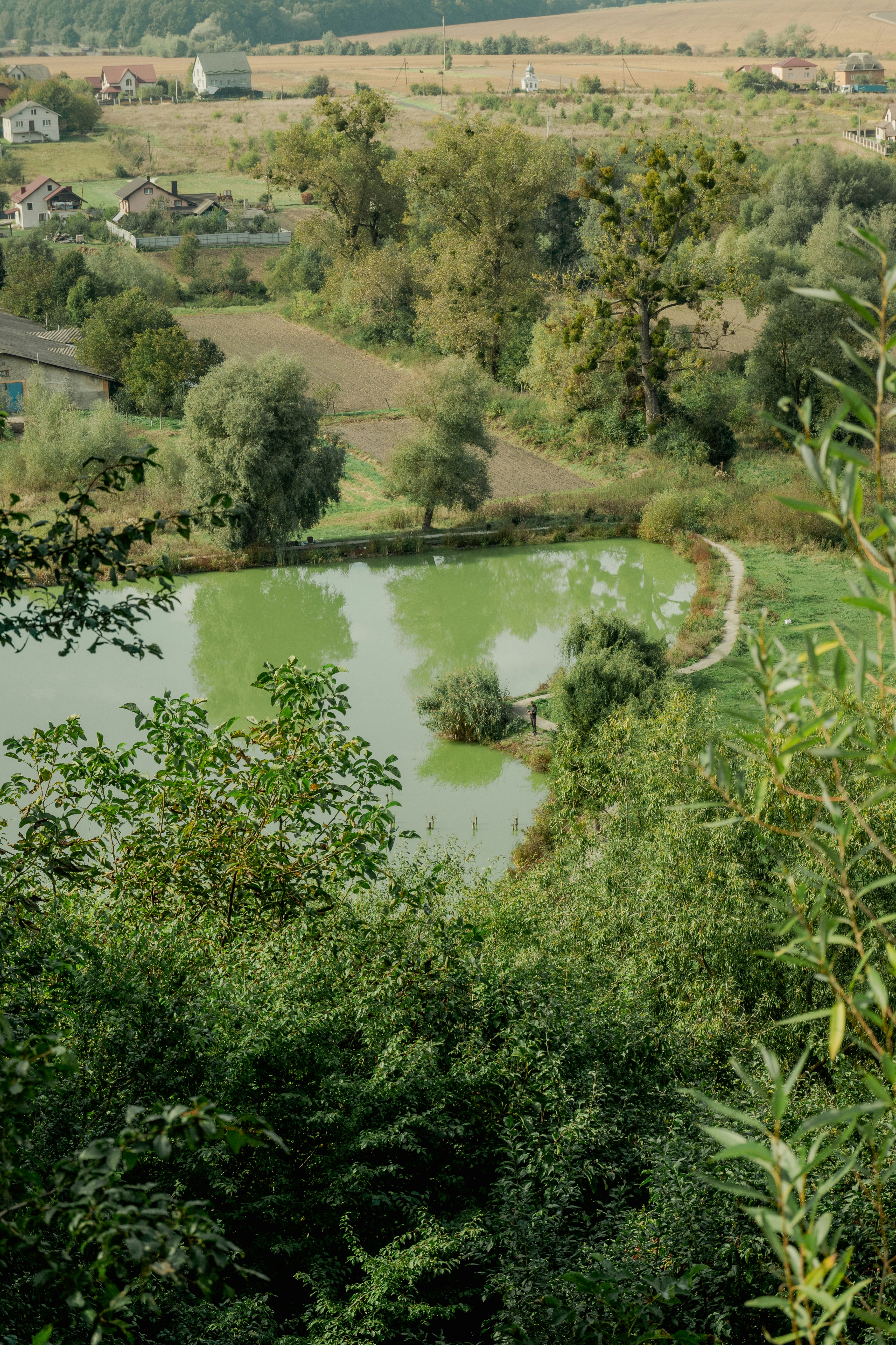 Green pond surrounded by lush trees and village.