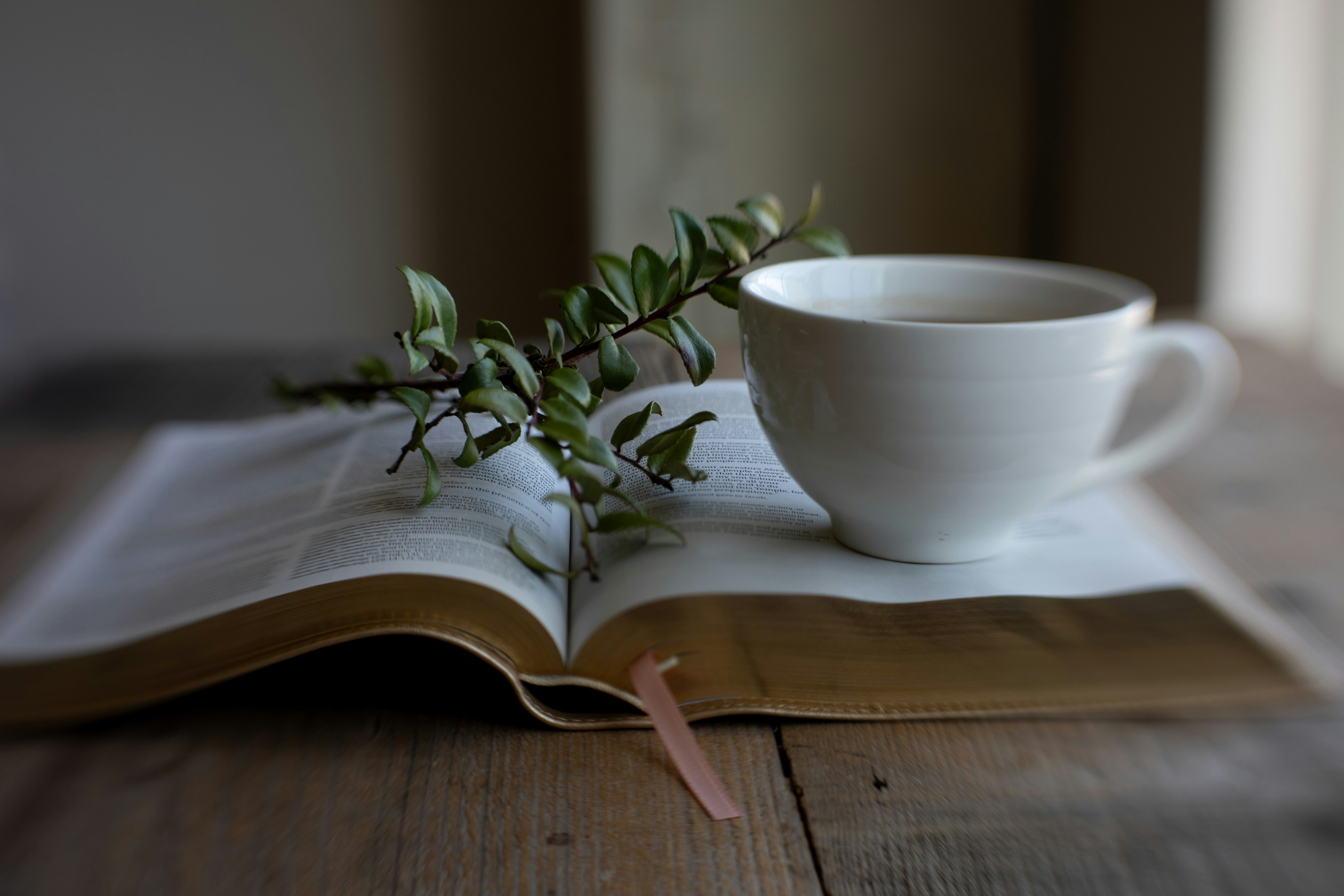 Open book with a cup of coffee and plant
