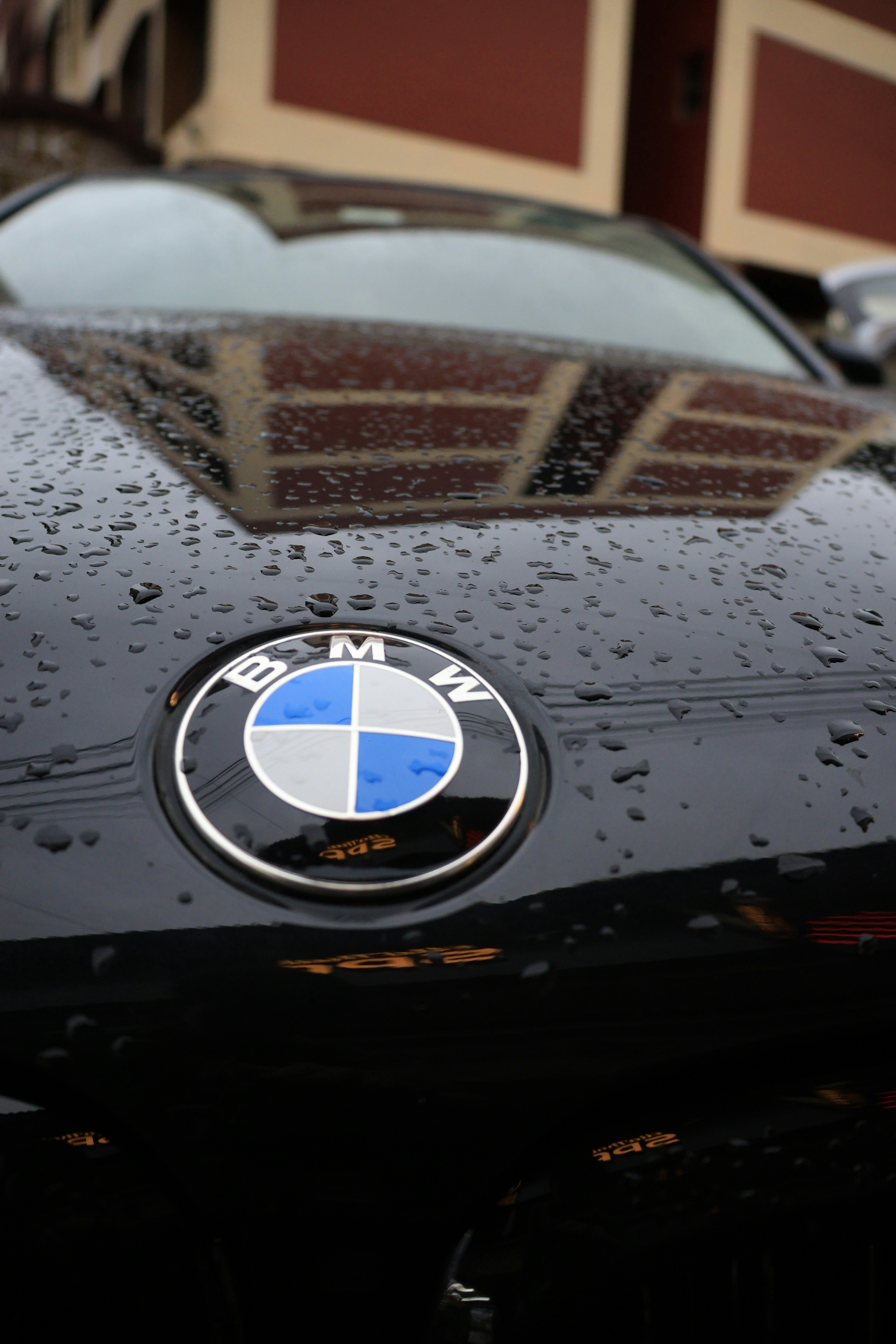 Reflections of Luxury: The BMW Emblem in Rain
