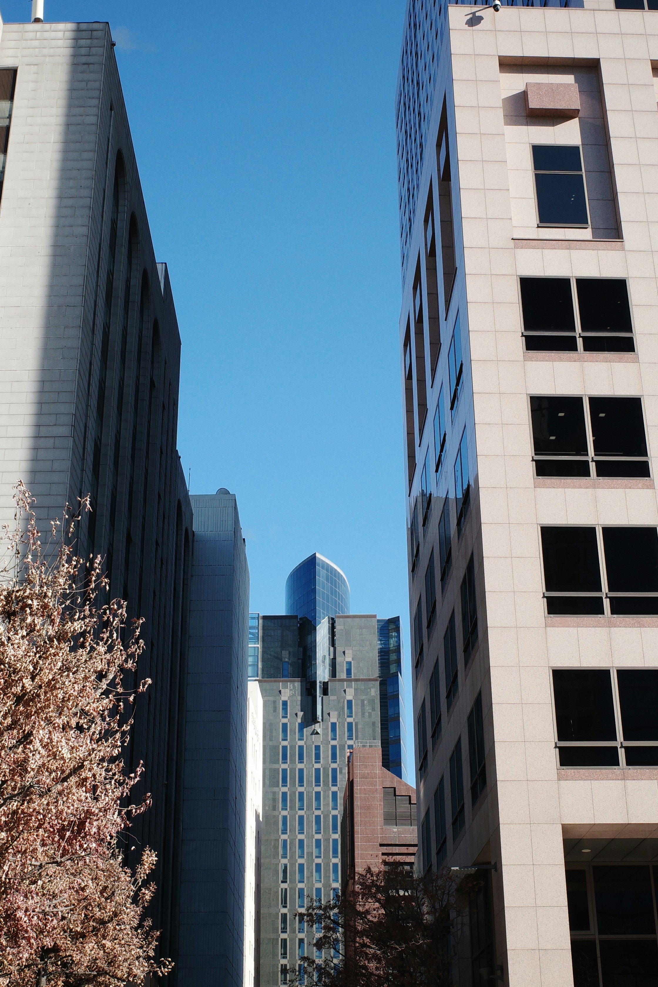 Modern skyscrapers viewed from below on a clear day
