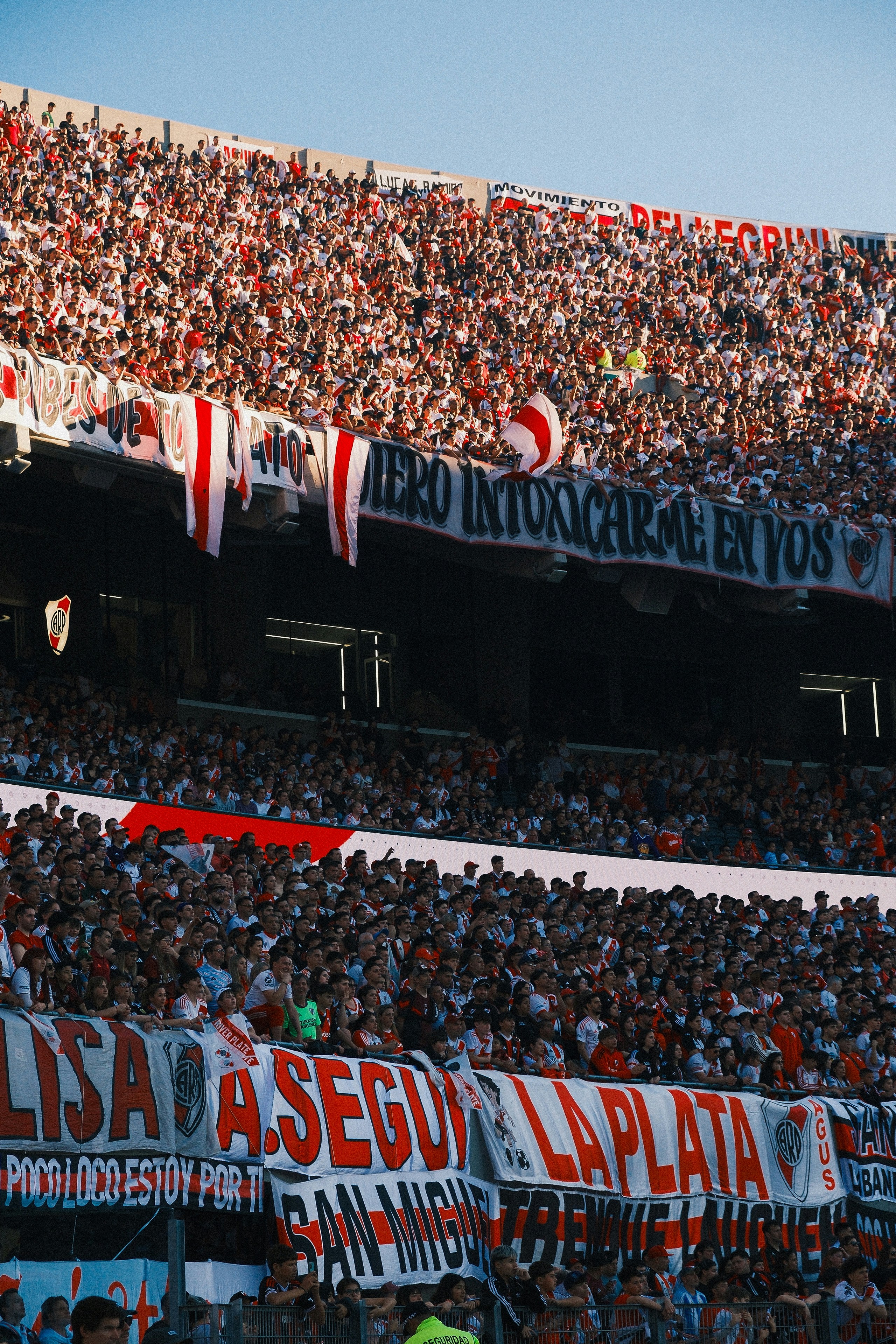 Echoes of Passion in the Stands