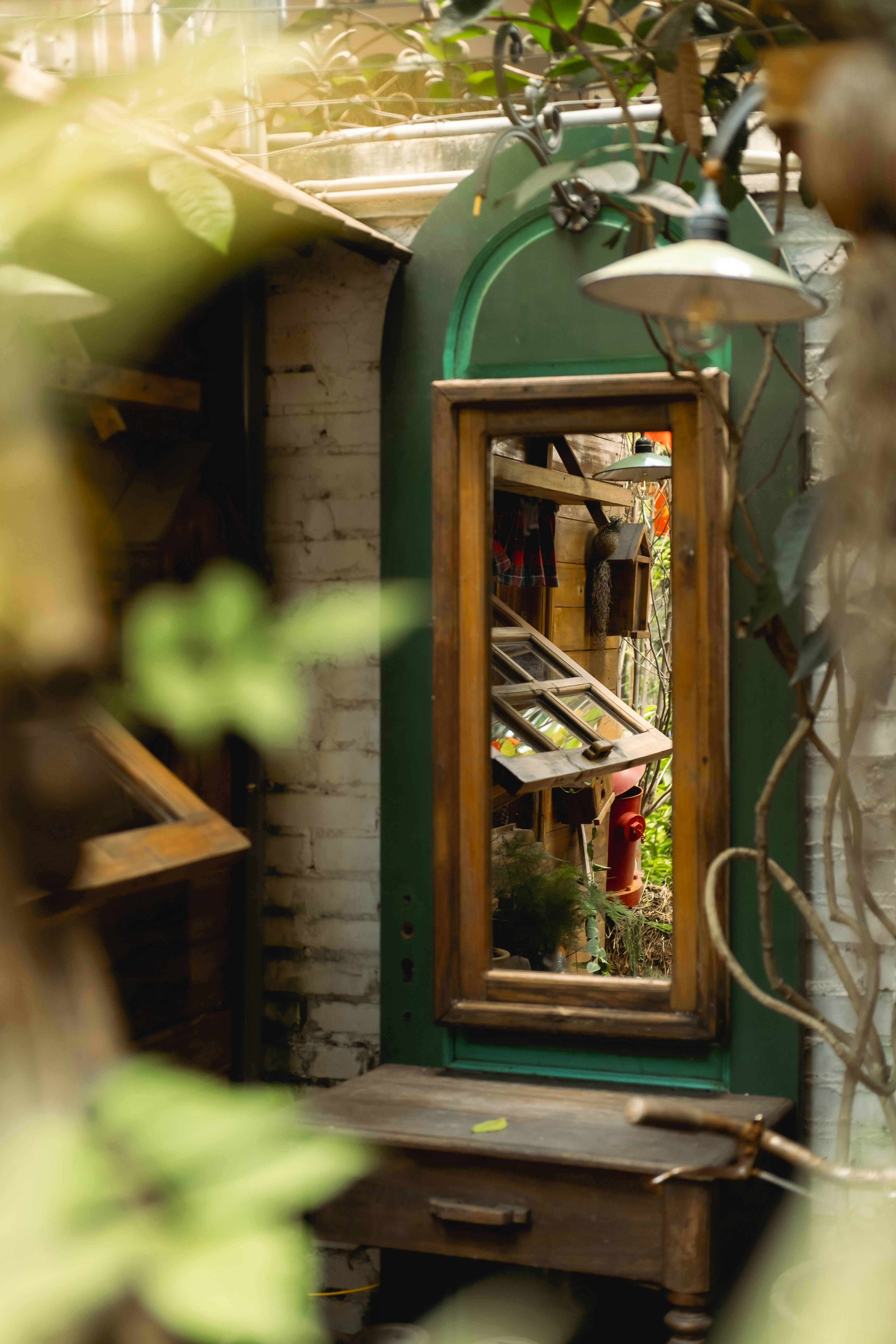 Mirror reflects cluttered garden shed interior with plants.