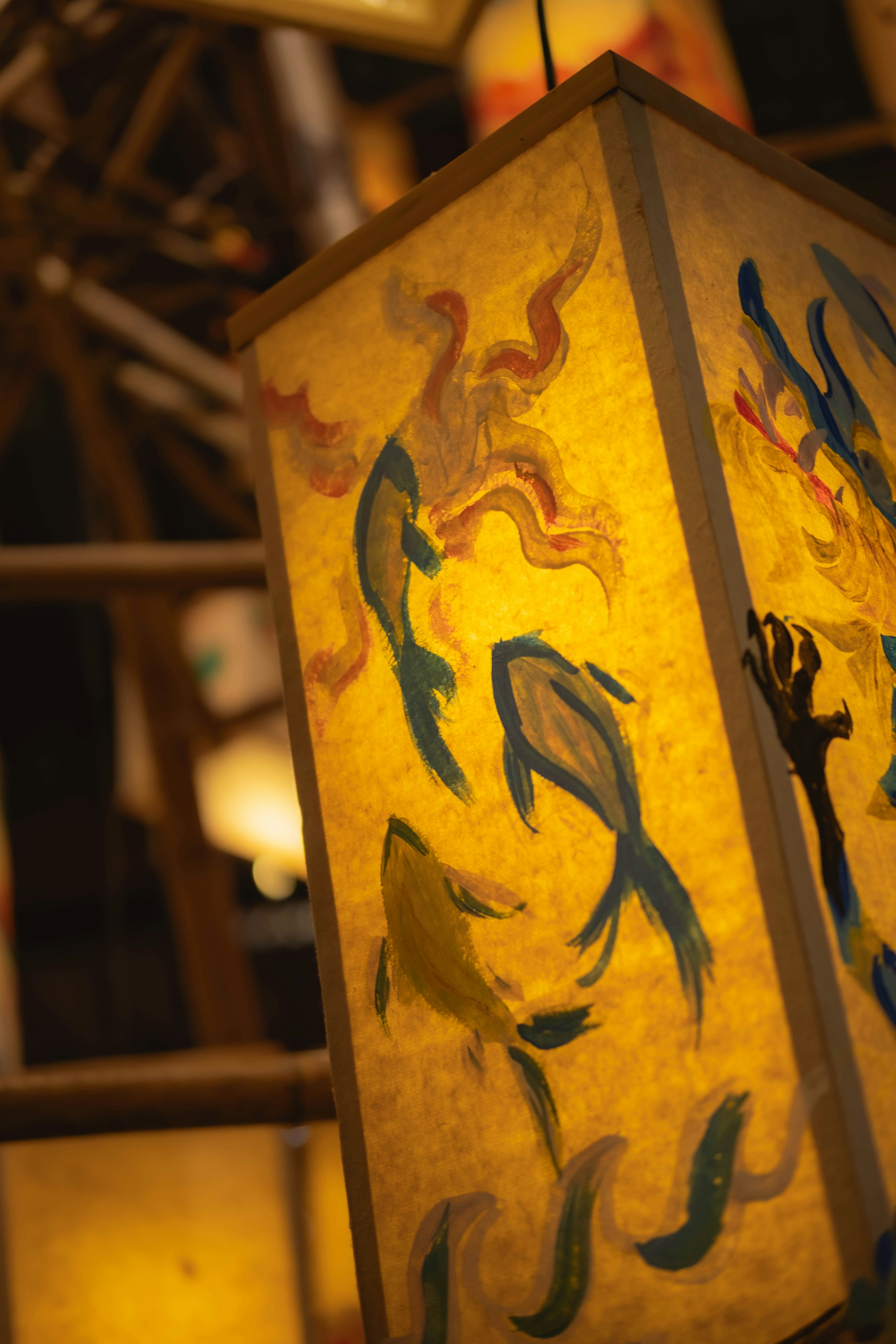Illuminated Whimsy: A Dance of Colors and Shadows
