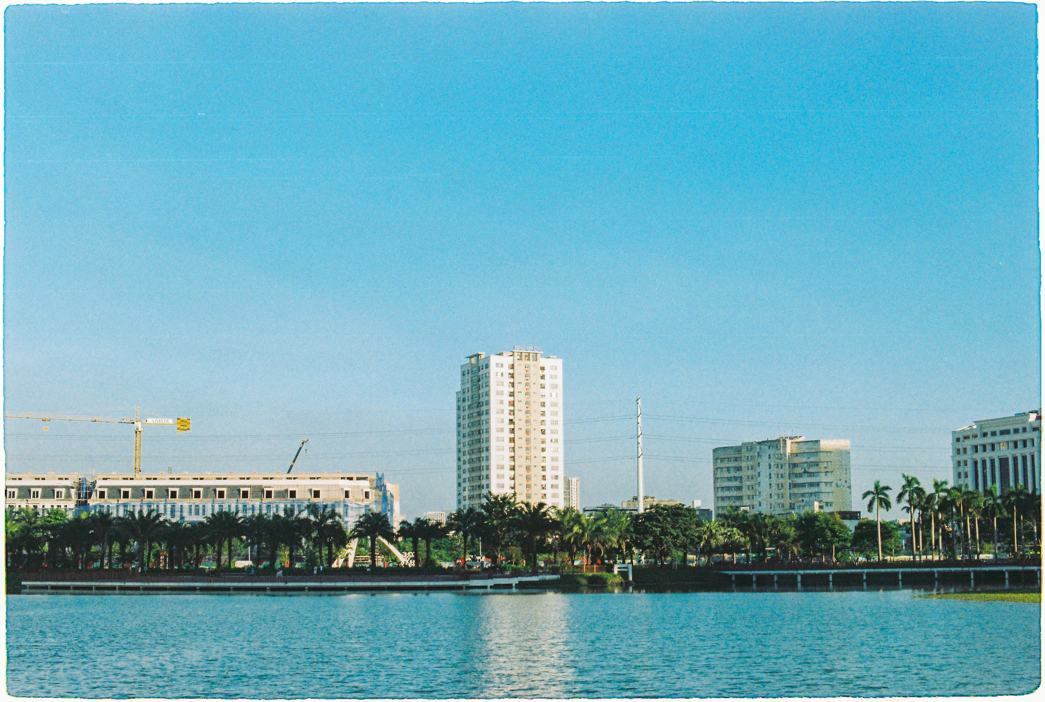 Tall buildings rise behind palm trees by a lake.