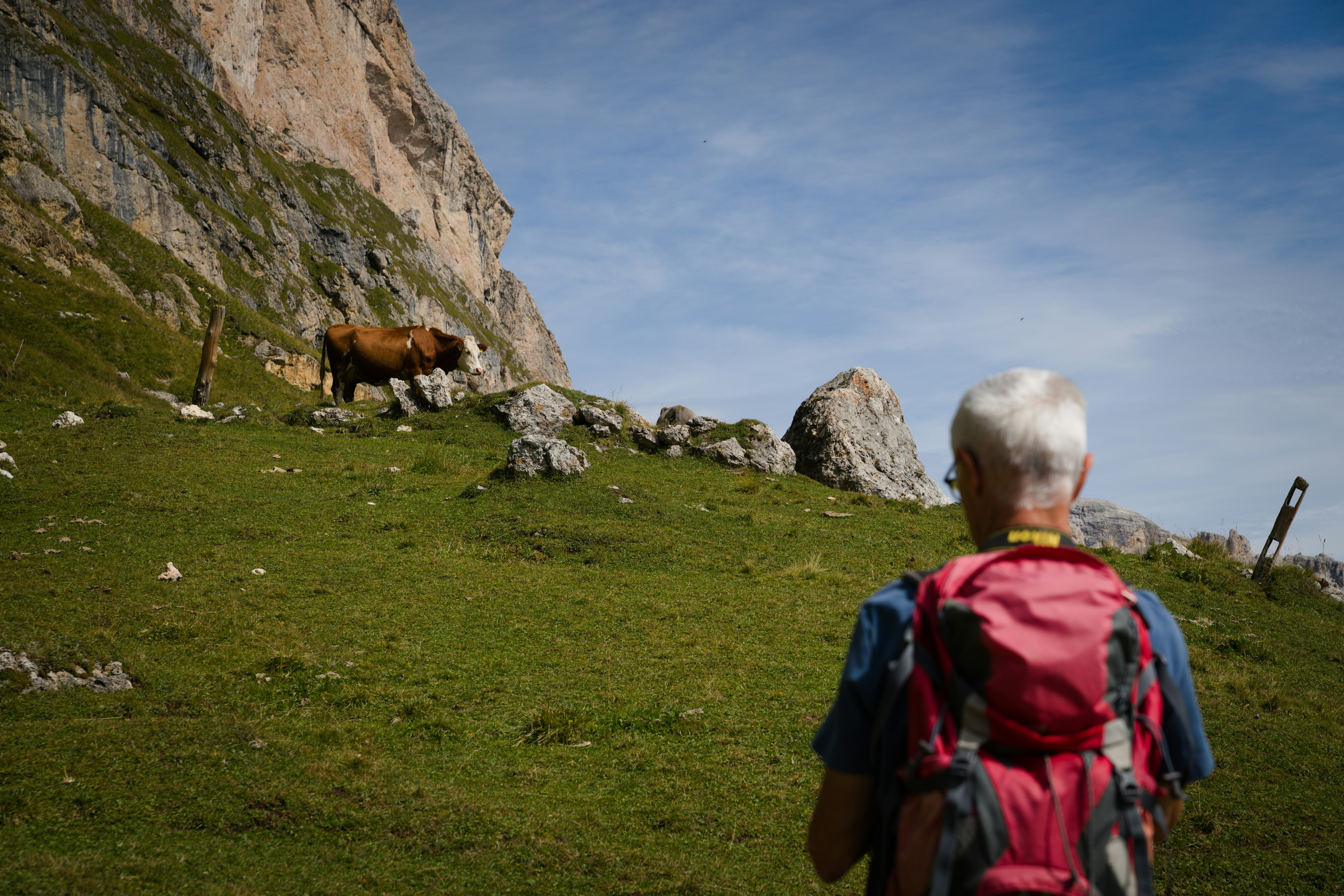 Harmony in the Highlands: A Hiker's Encounter