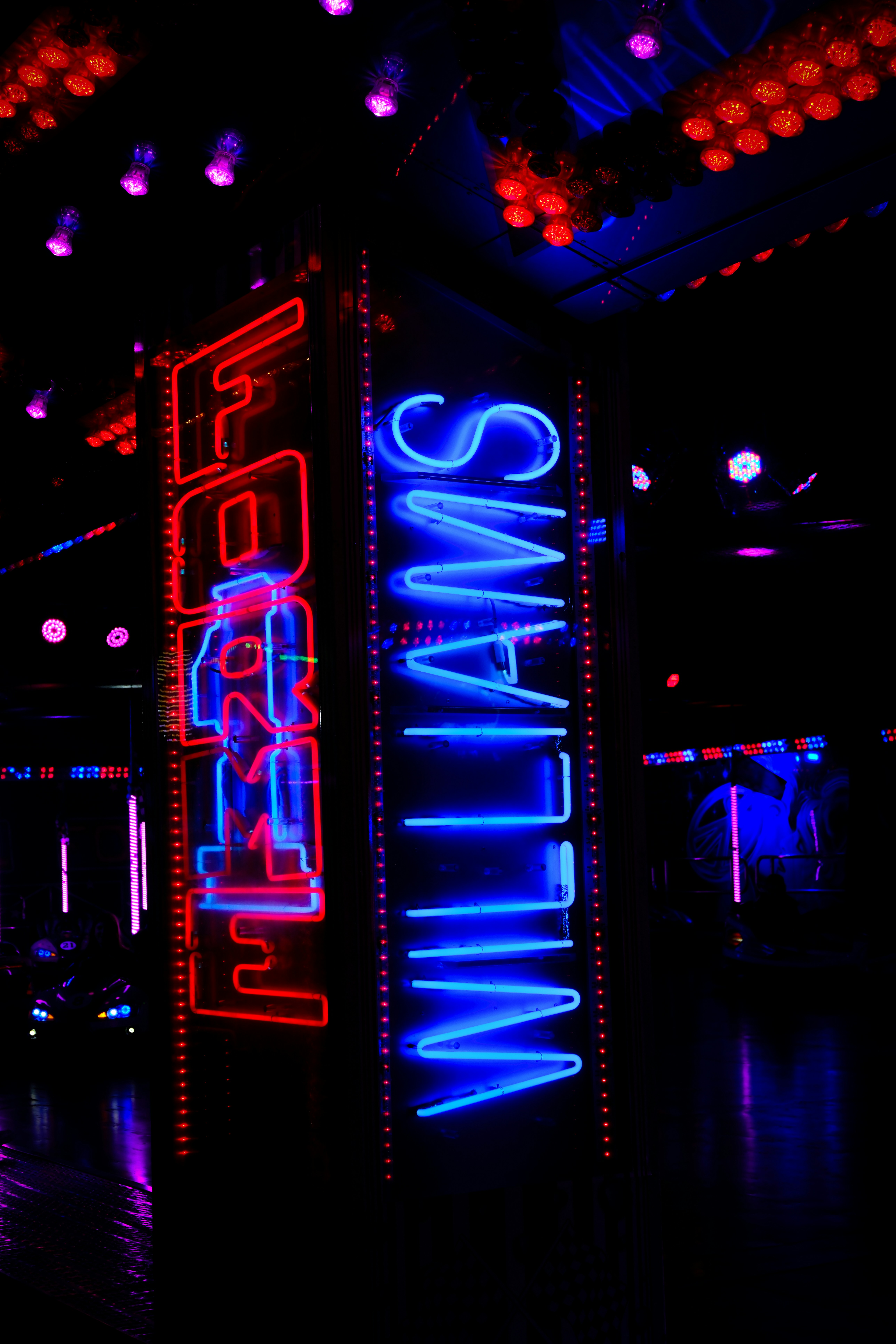Neon Reverie: A Dance of Lights