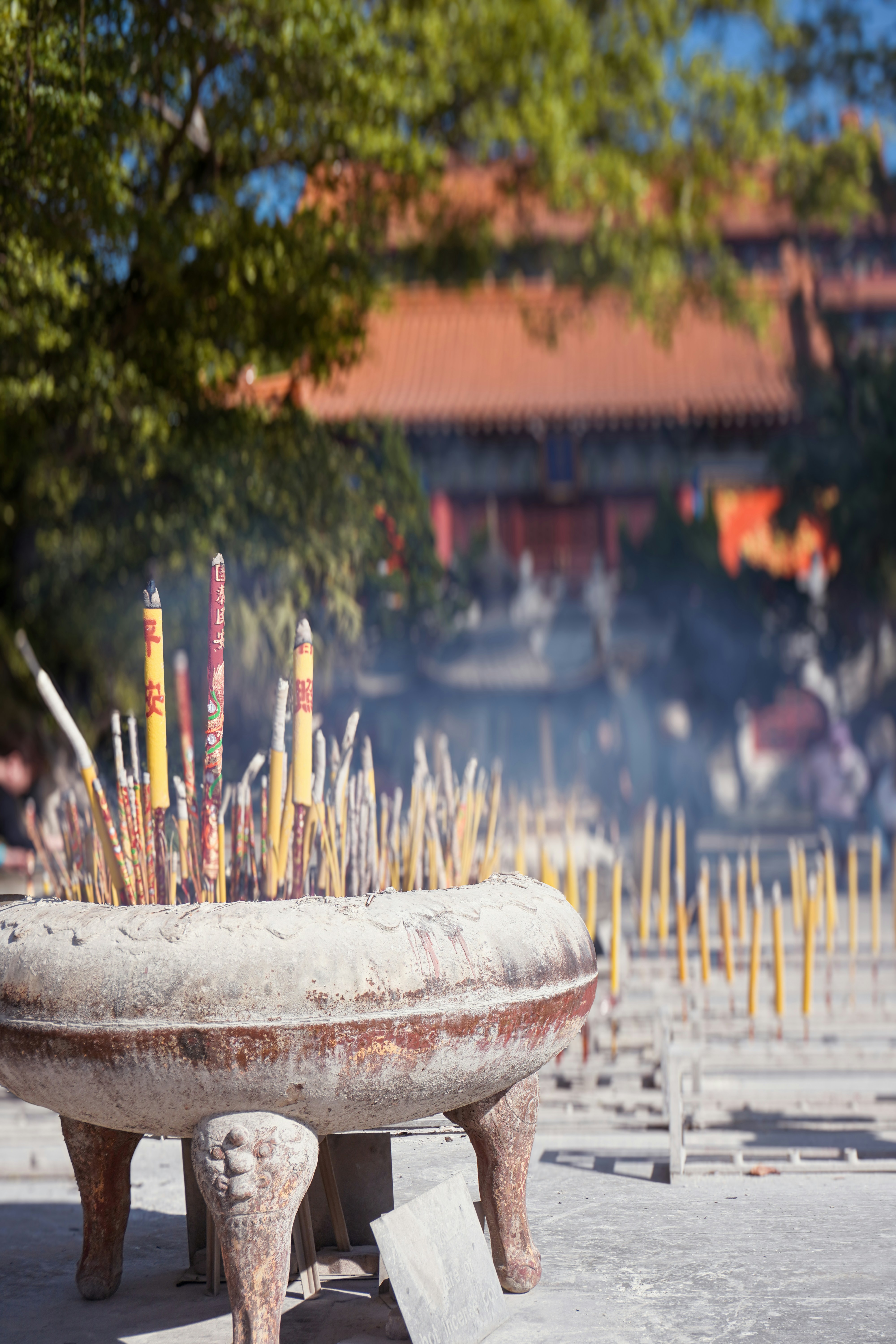 Whispers of Tradition: The Incense Offering
