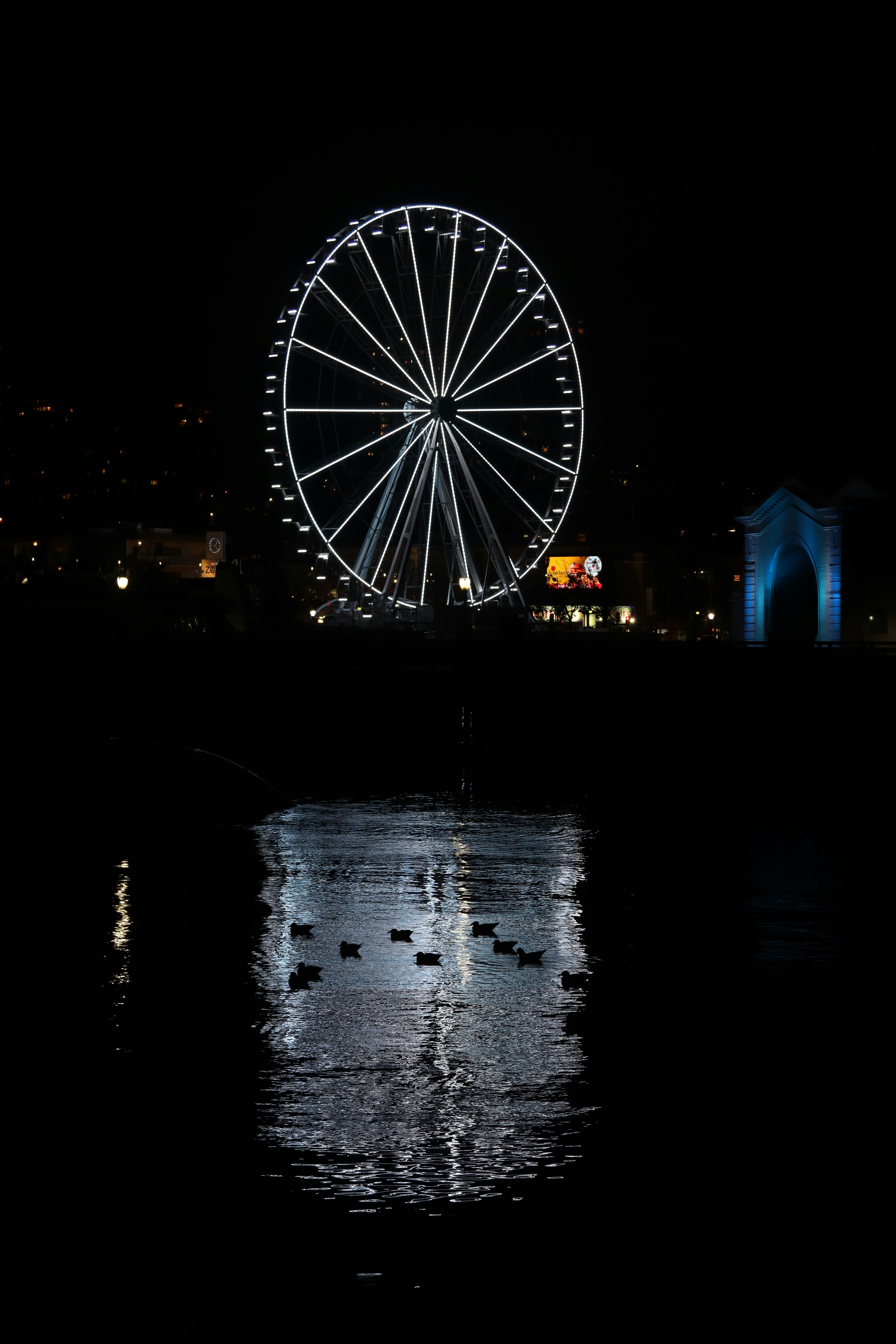 Illuminated Whispers of Night