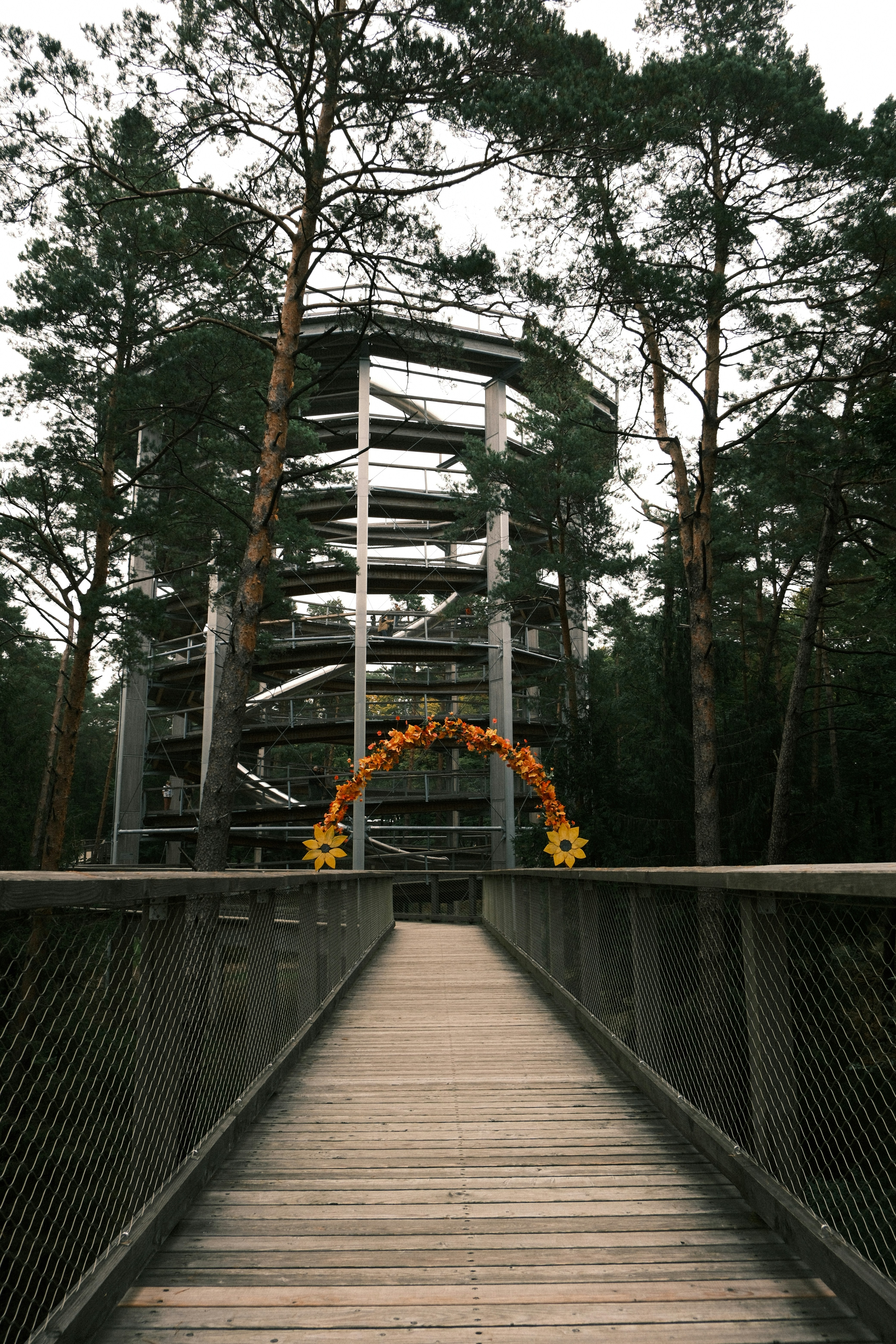 Nature's Gateway: A Bridge to Adventure