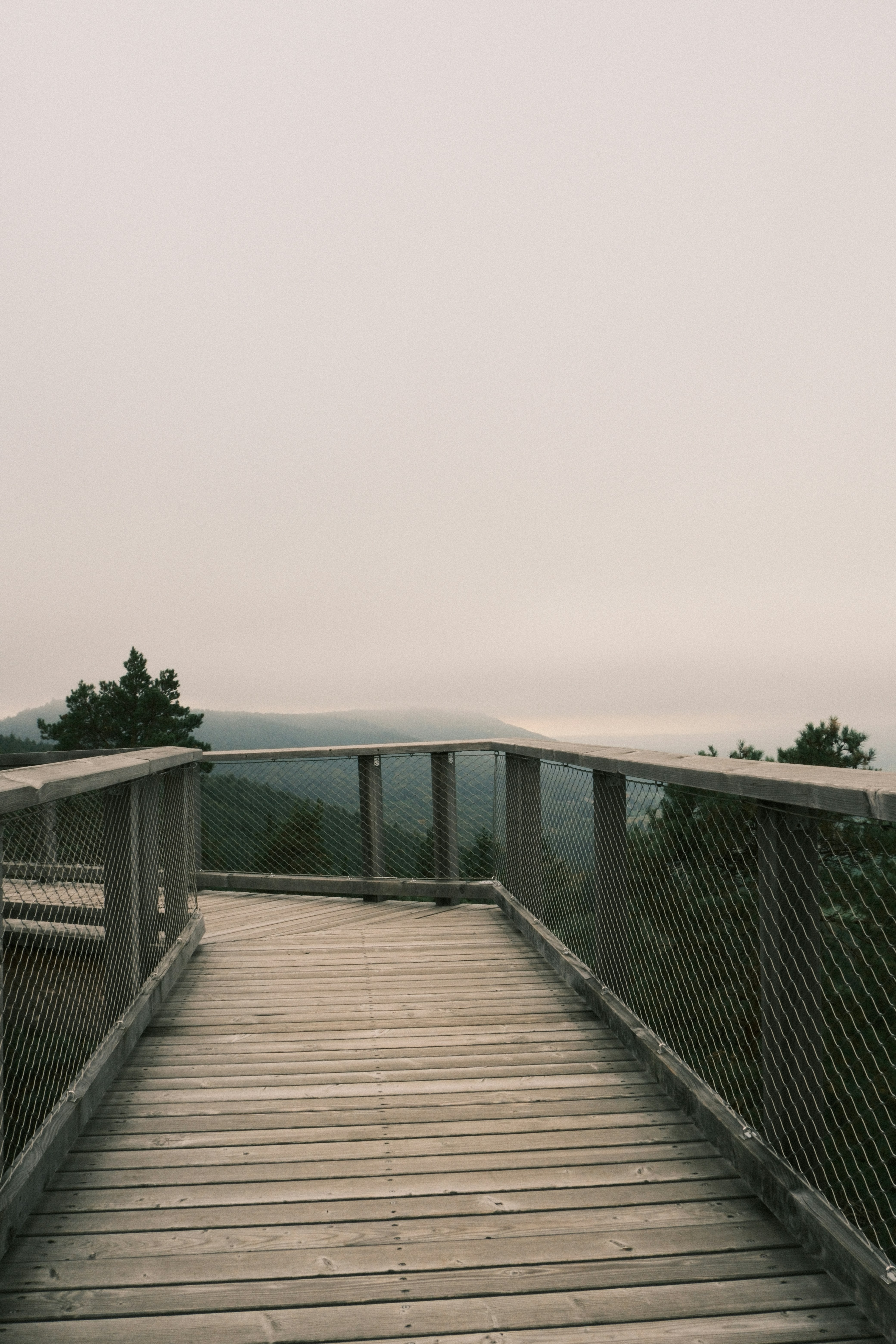 Wooden walkway overlooking misty forest and hills