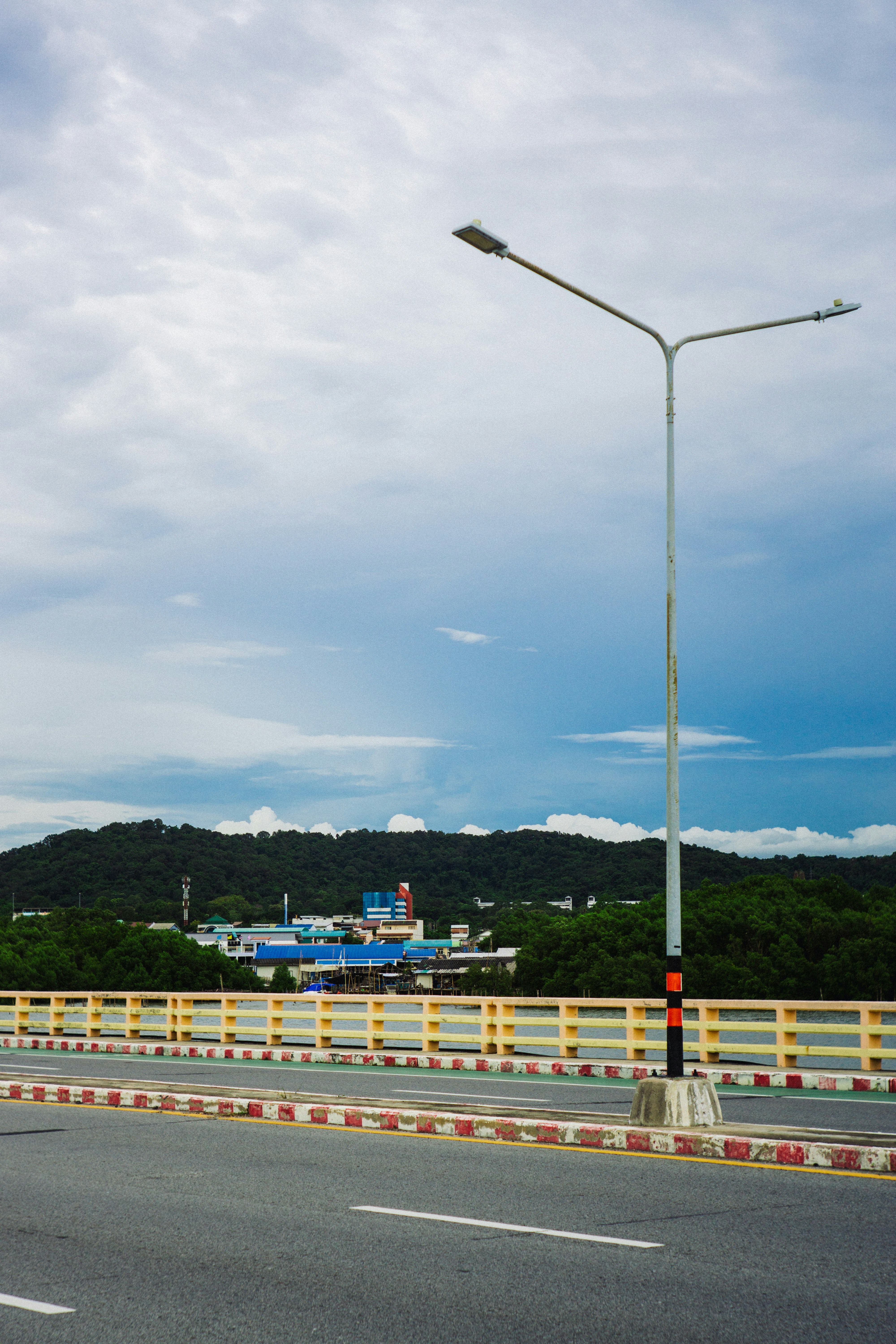 Urban Harmony: A Bridge Between Nature and Infrastructure