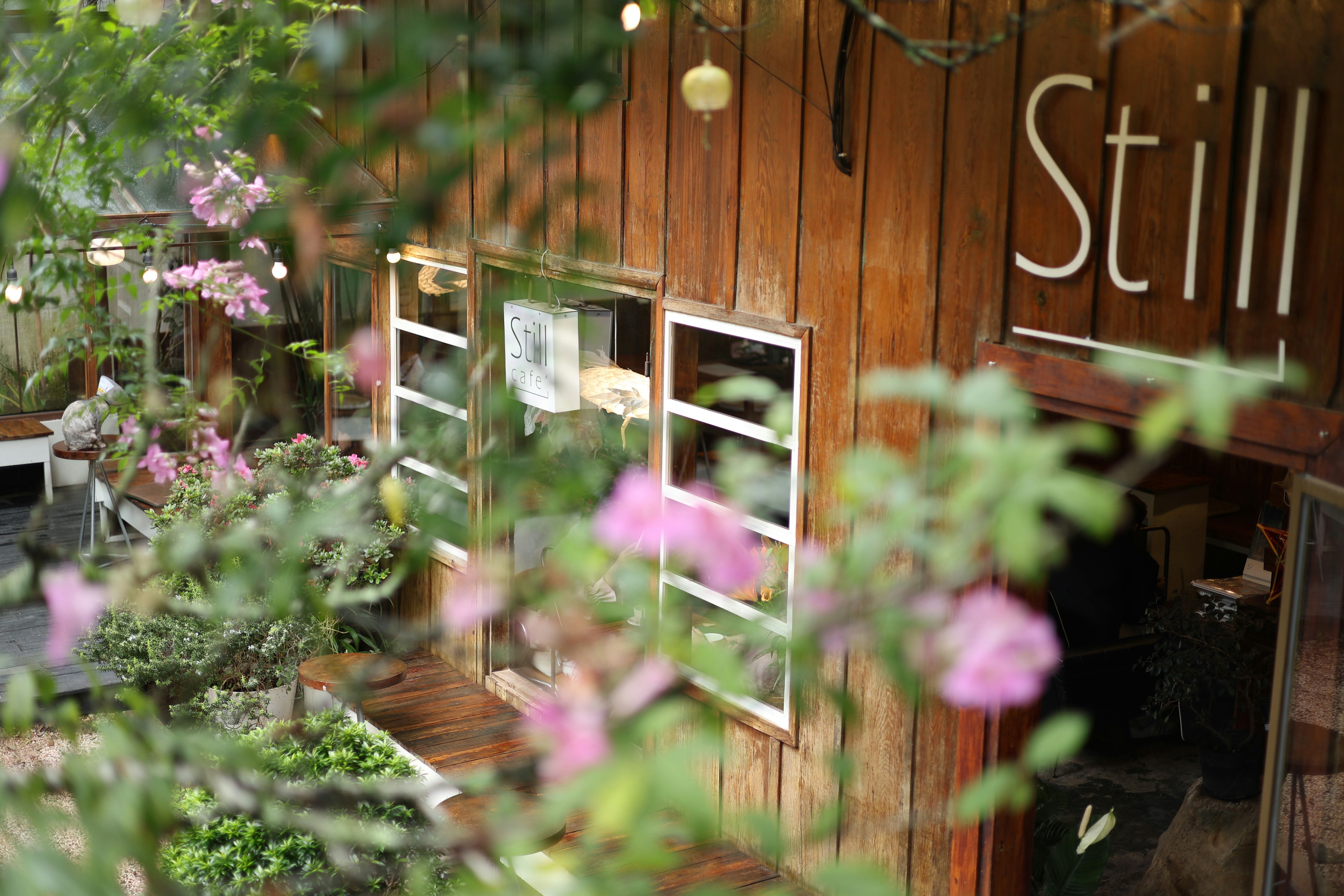 Whispers of Tranquility in a Garden Retreat