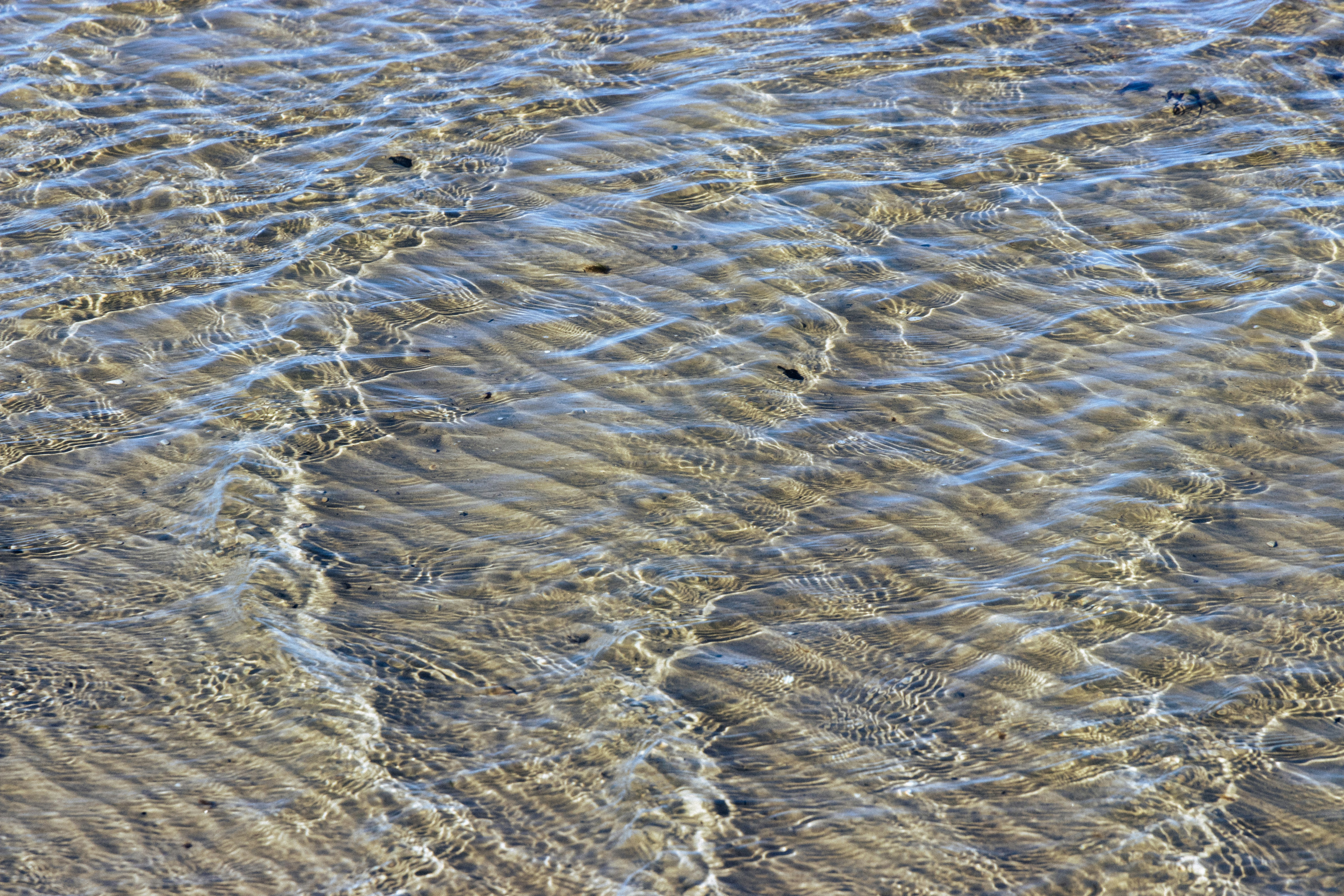 Whispers of the Tidal Canvas