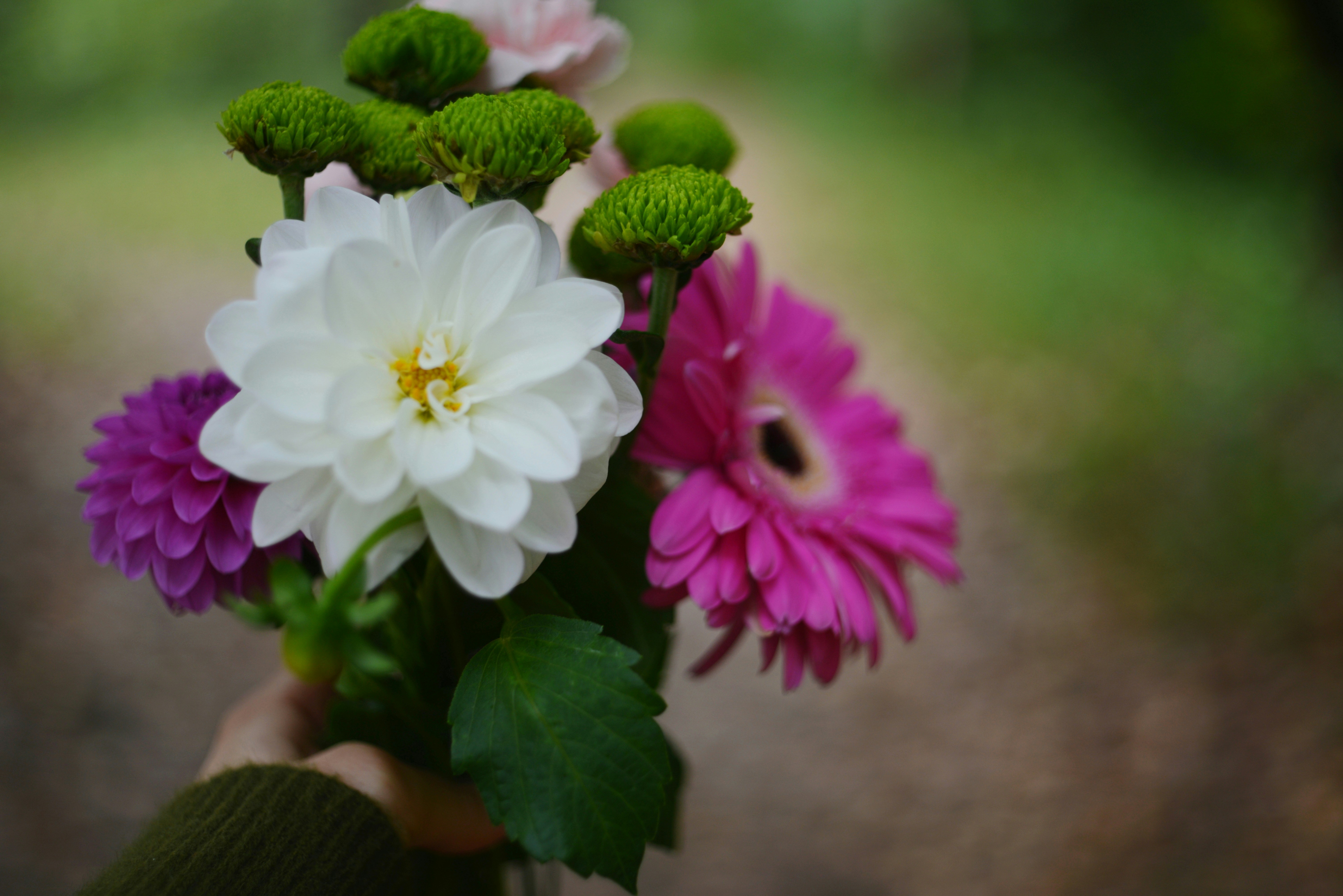 A Symphony of Blooms: Nature's Handheld Palette
