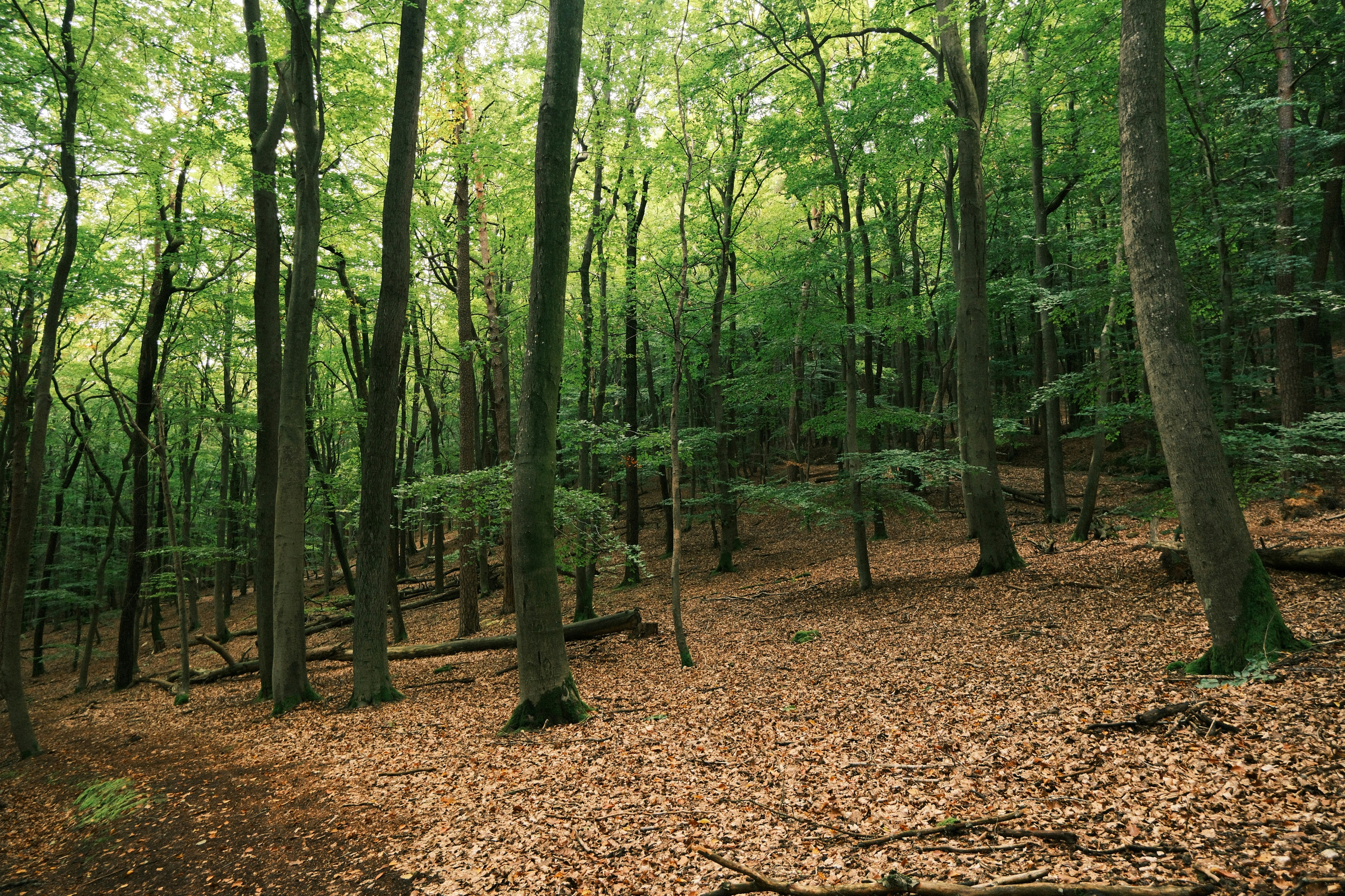 Photo by Vital Adi with Fujifilm X-M5