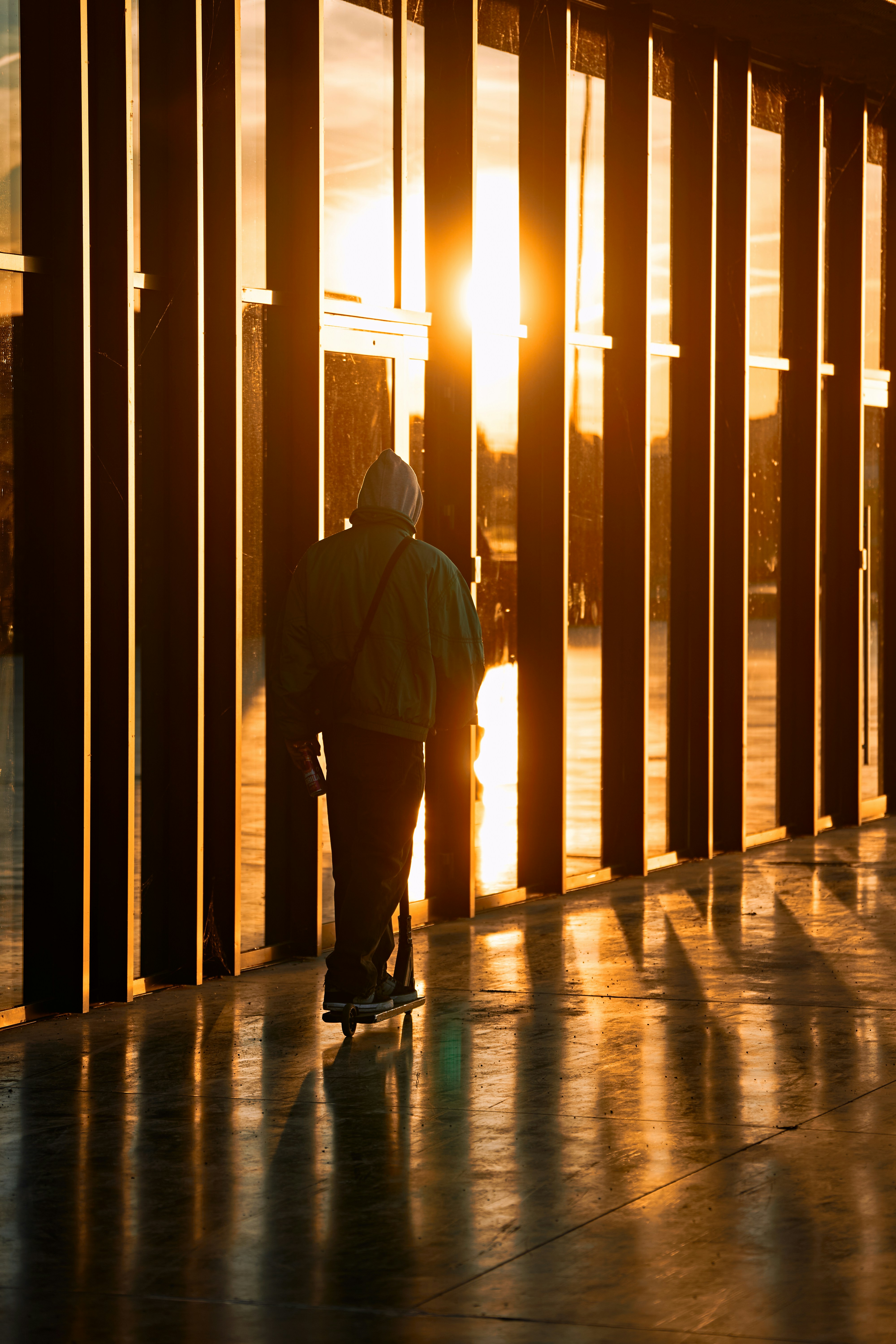 Golden Hour Reflections: A Journey in Motion