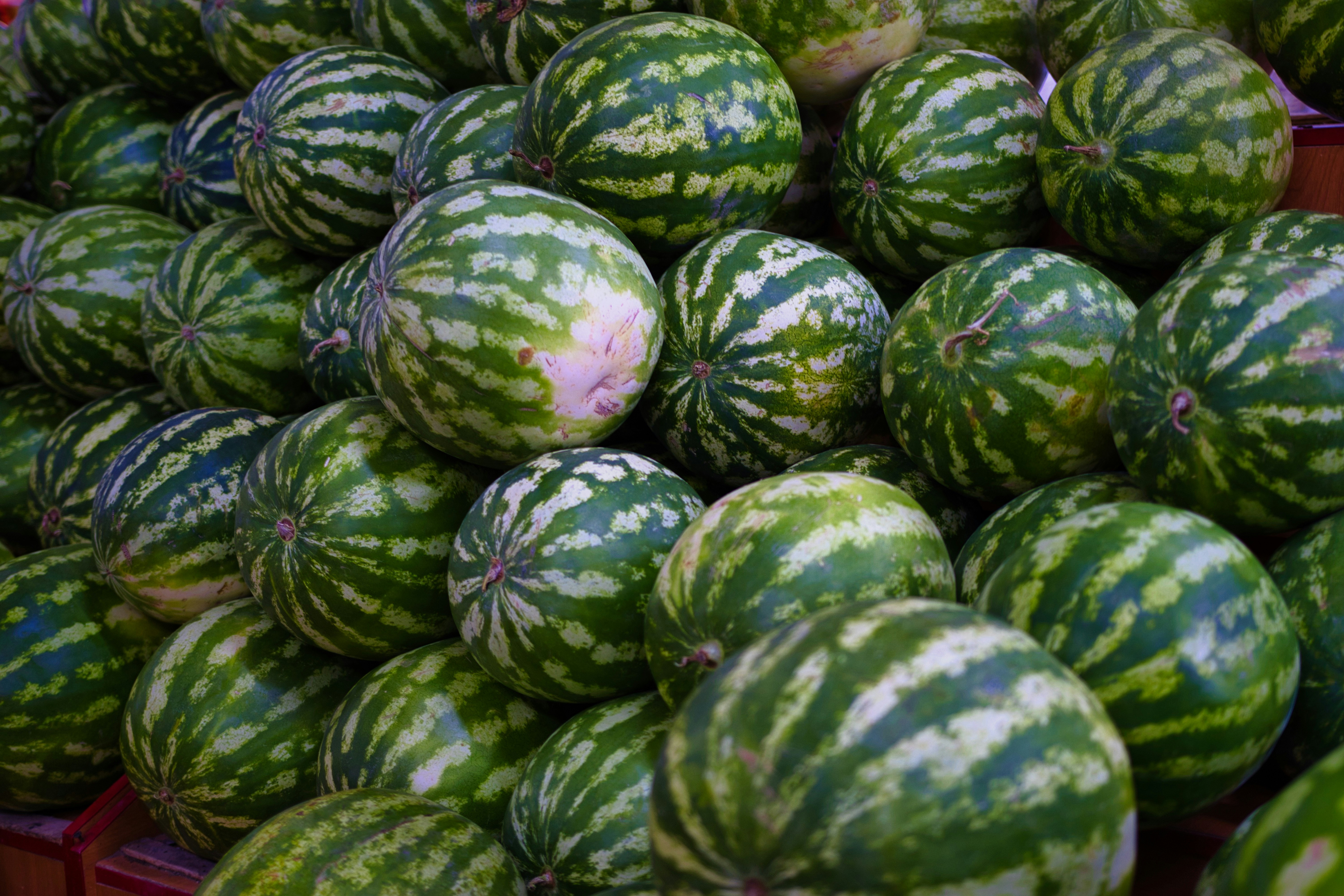 A pile of fresh watermelons with green stripes.