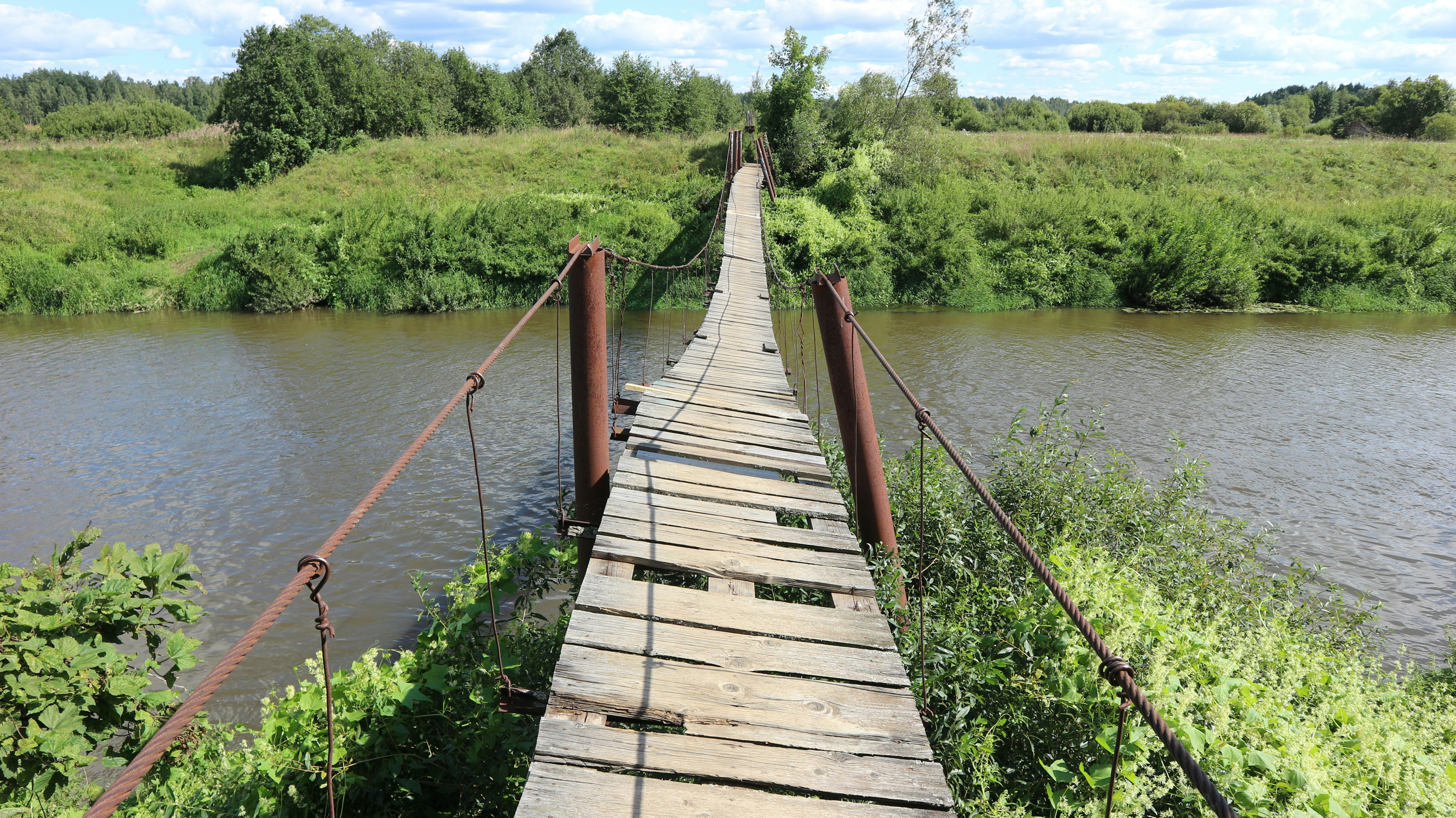 Suspended Pathway Through Nature's Embrace