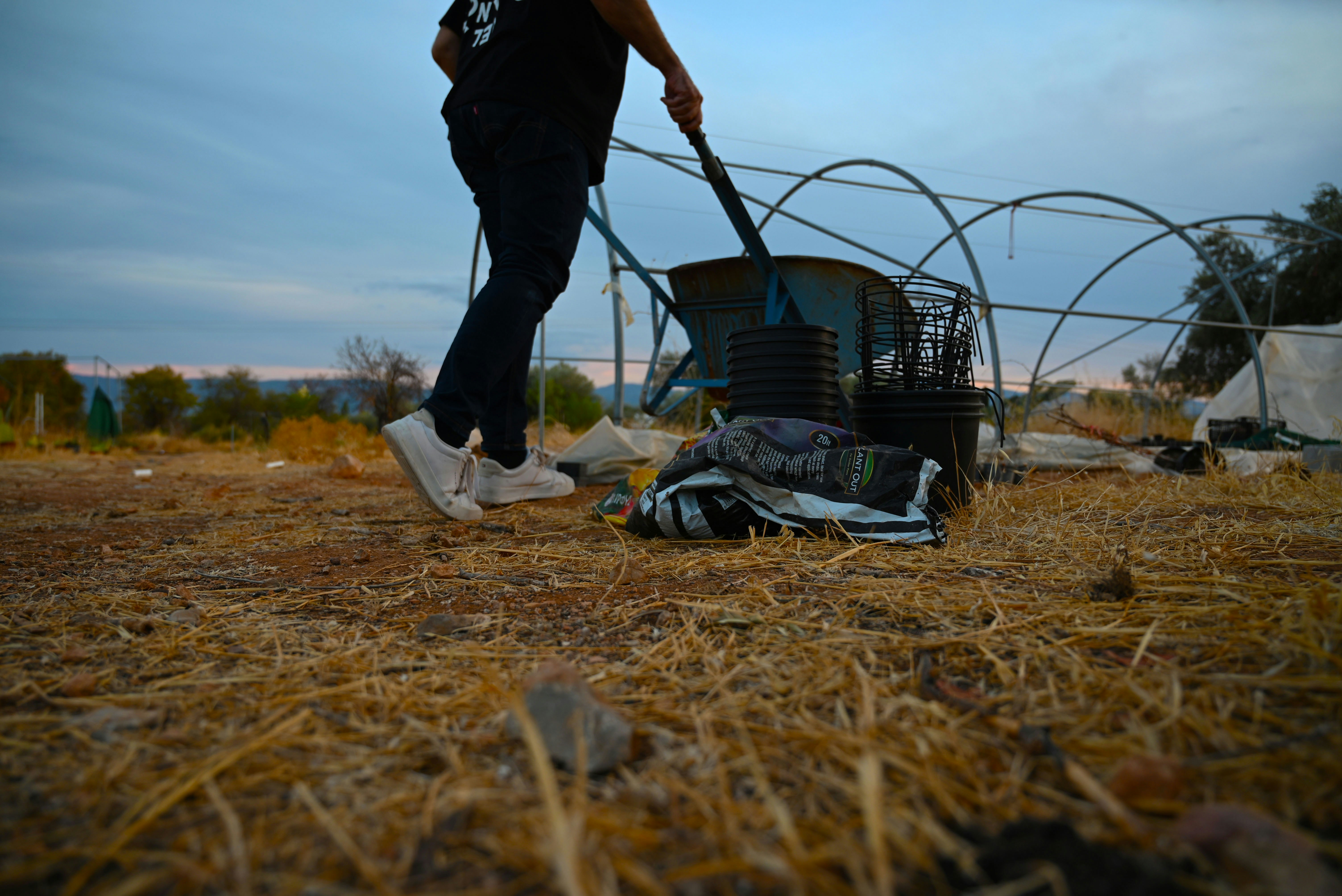 Harvesting the Evening's Bounty