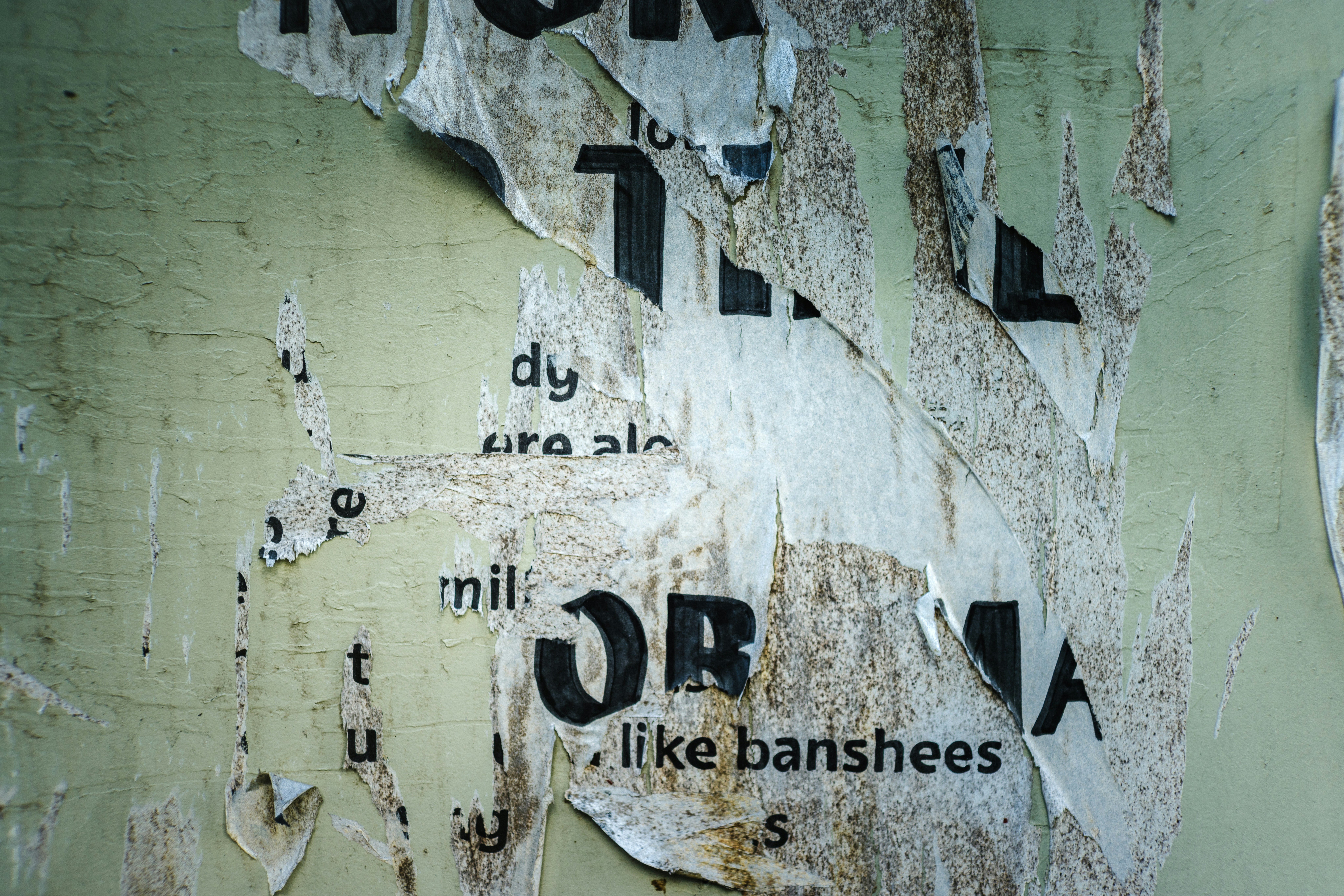 Torn posters with text on a textured wall