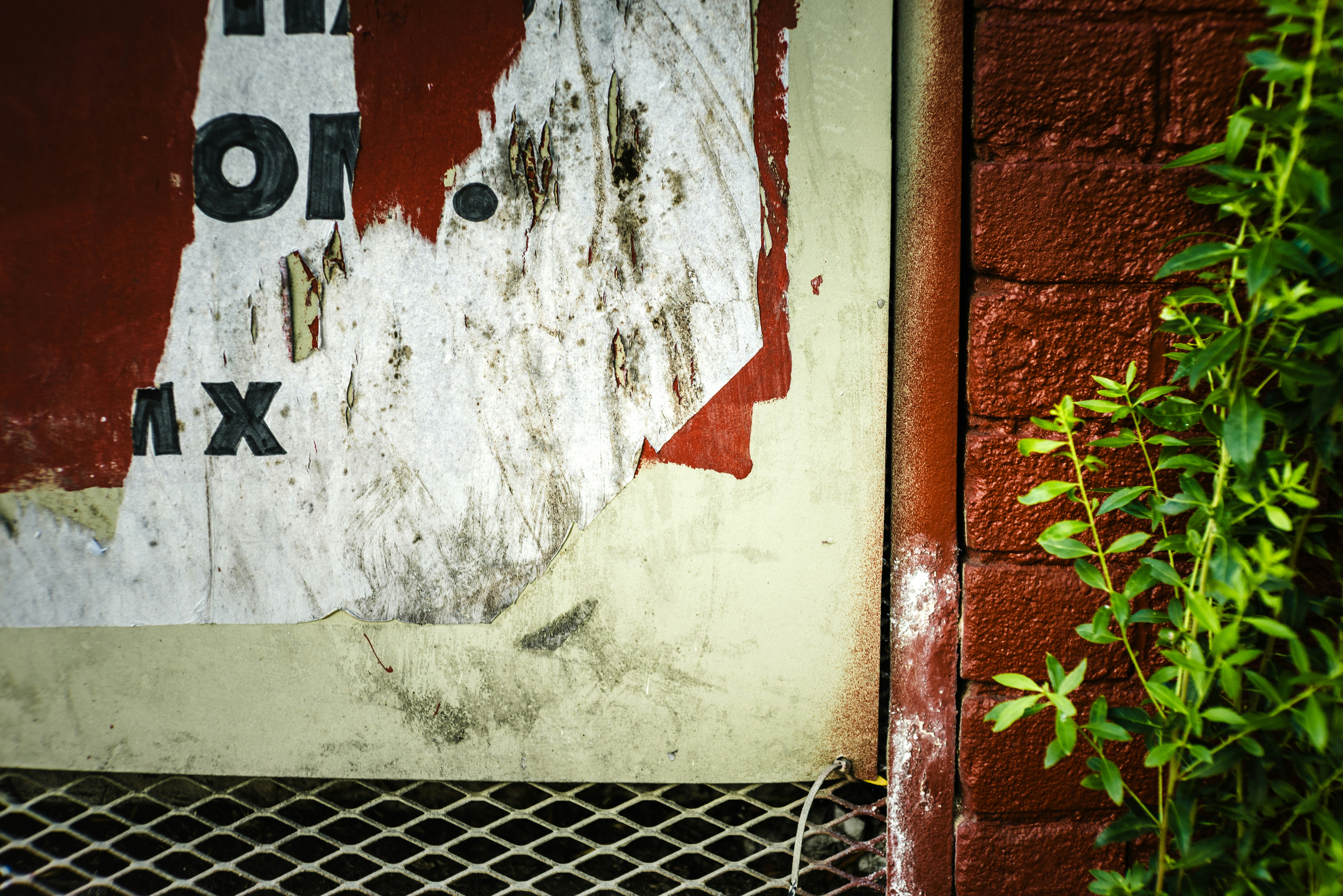 Torn posters on a weathered wall with greenery