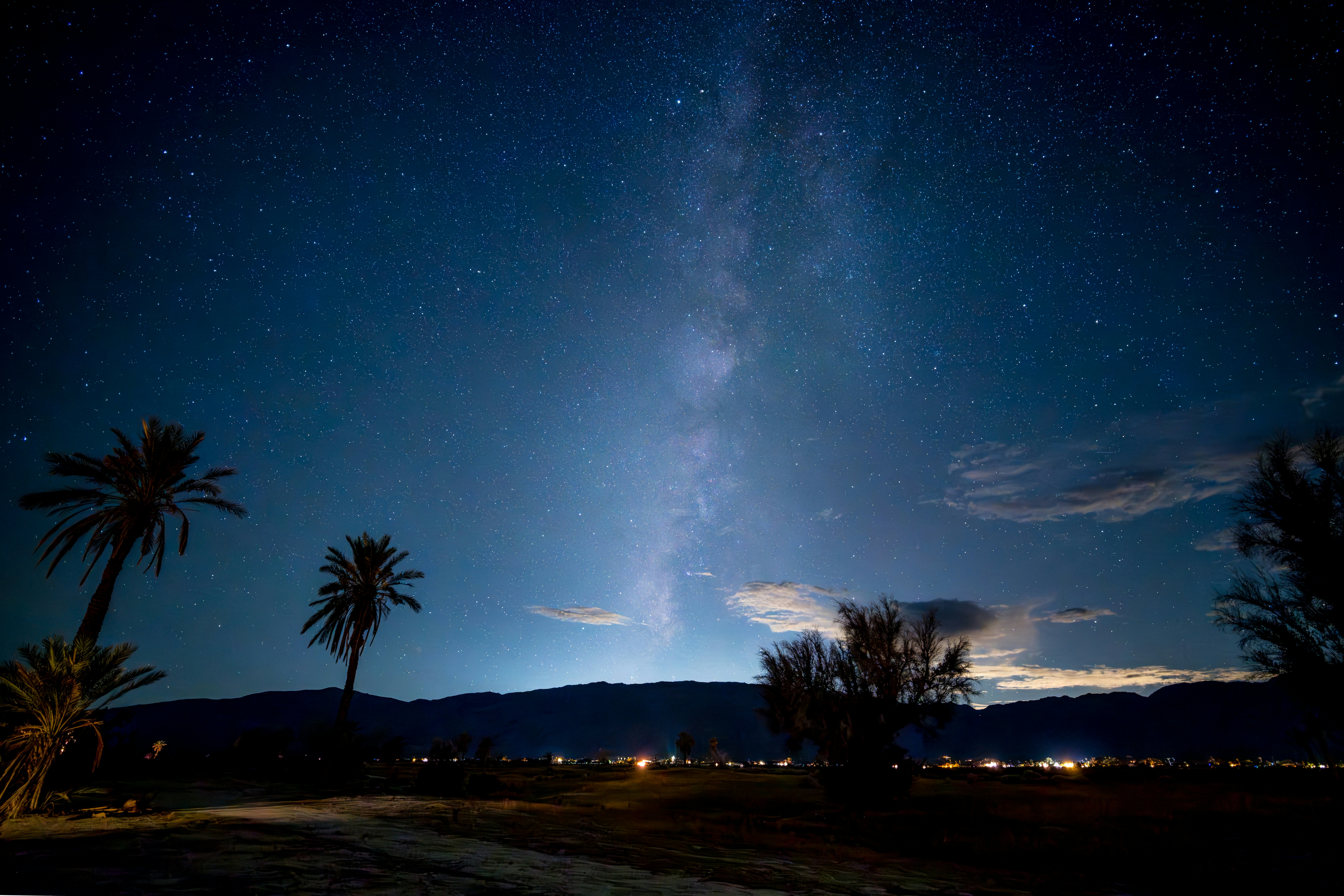 Milky way galaxy over desert landscape with palm trees.