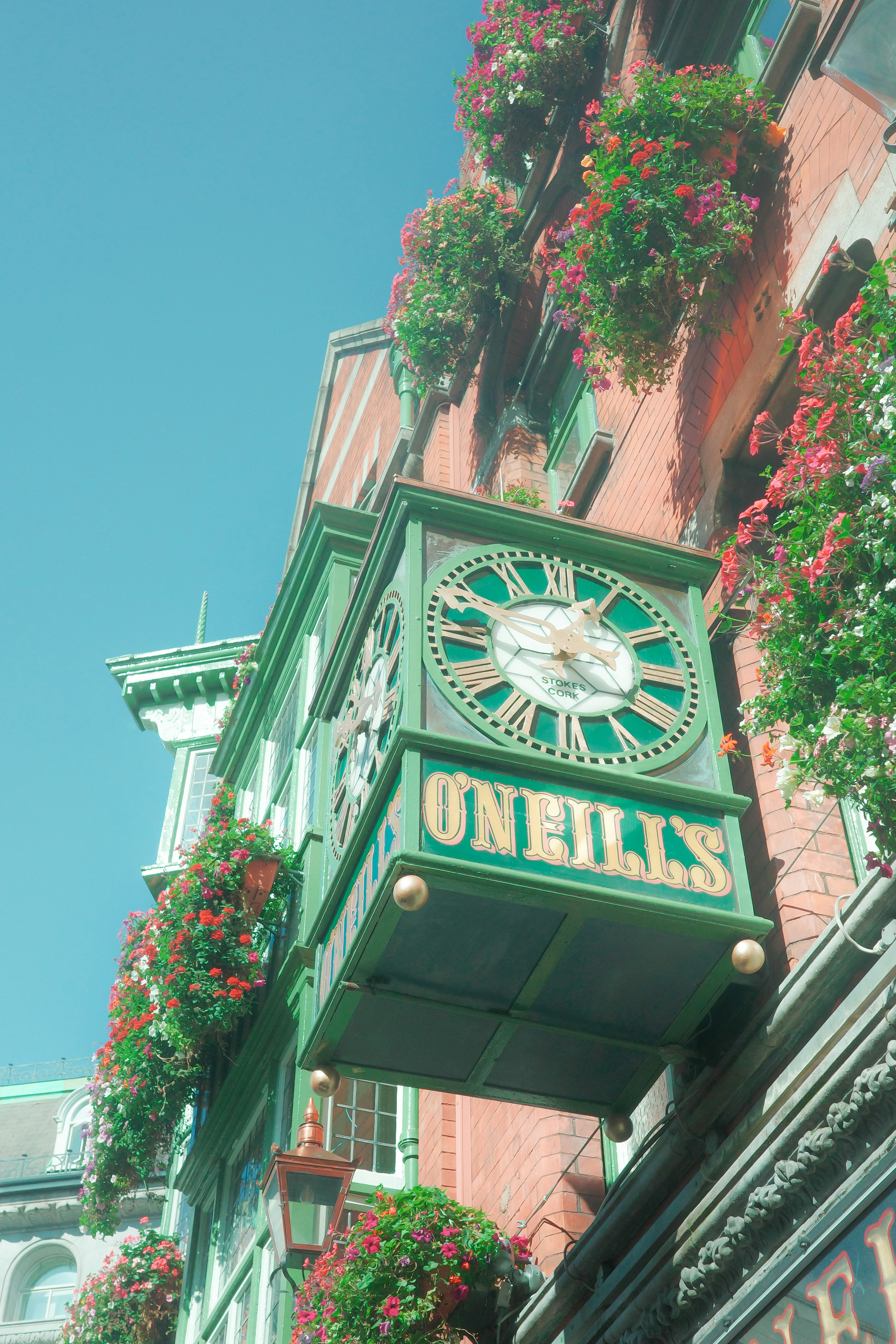 Time in Bloom: A Floral Tribute to Tradition