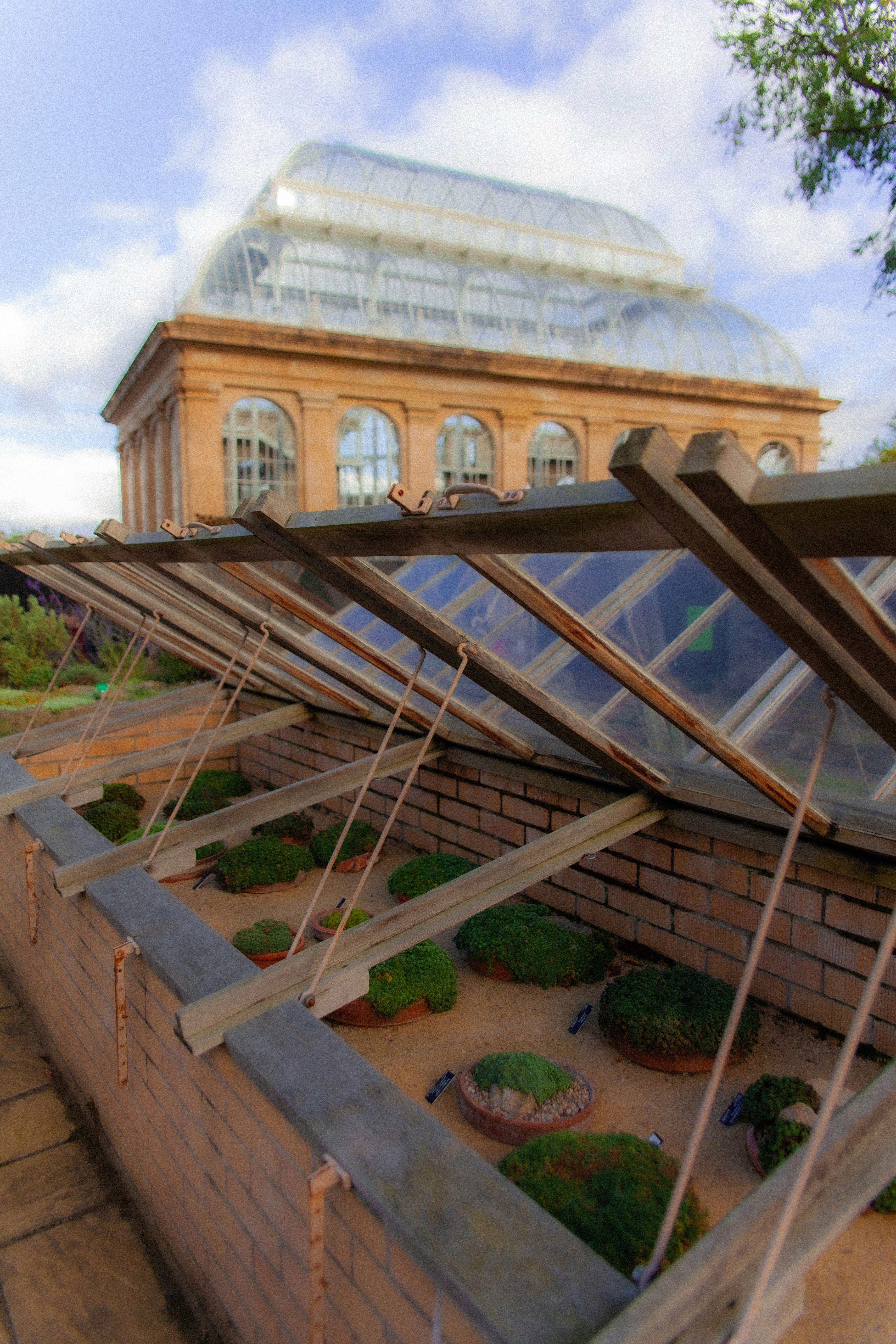 Greenhouse with plants and large glass building behind.