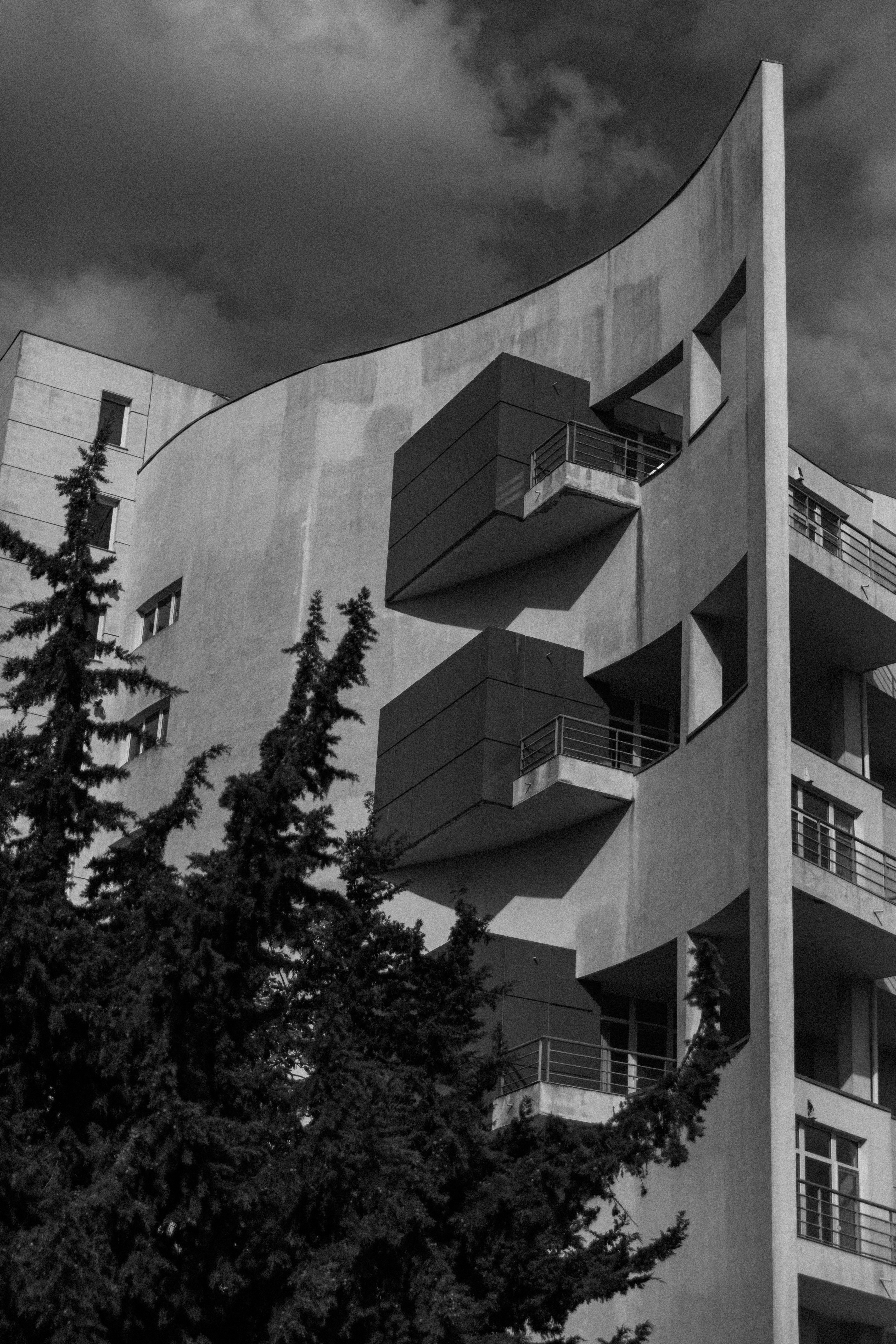 Cantilevered Curves in Monochrome: Concrete Balconies Against Pine Shadows