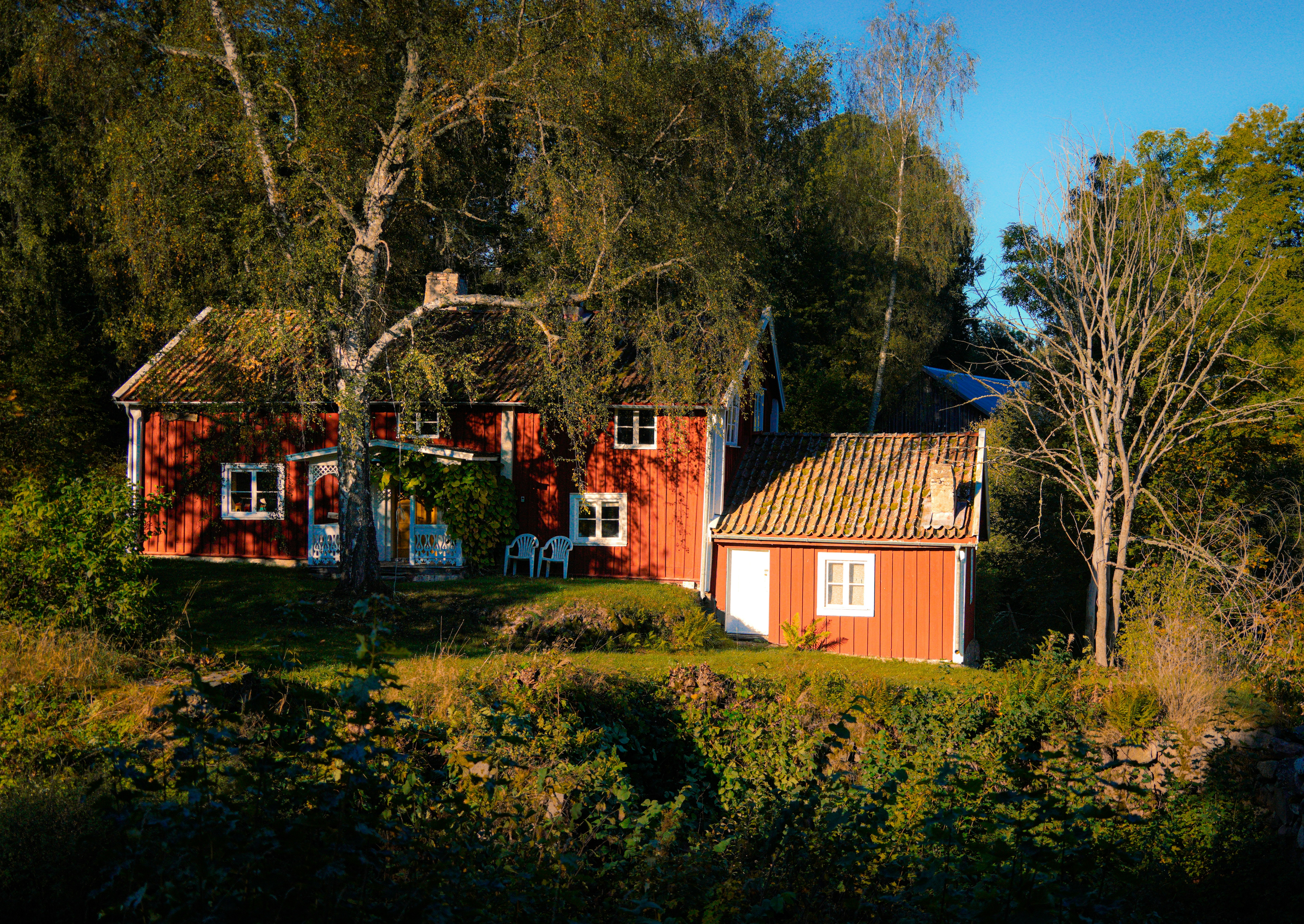 Red wooden house nestled among trees