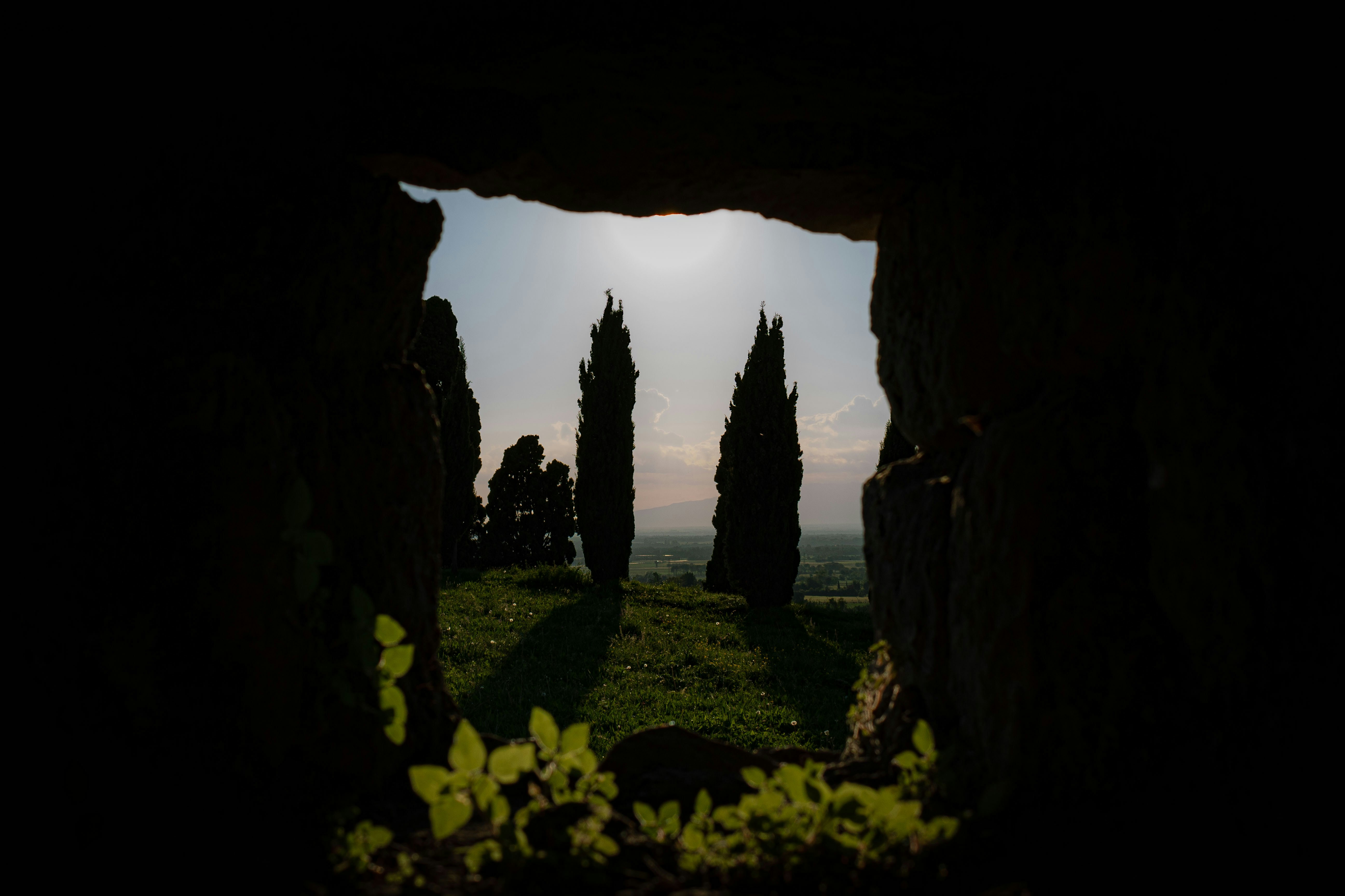 Silhouetted cypress trees viewed through a stone archway, with soft sunlight illuminating the landscape beyond.