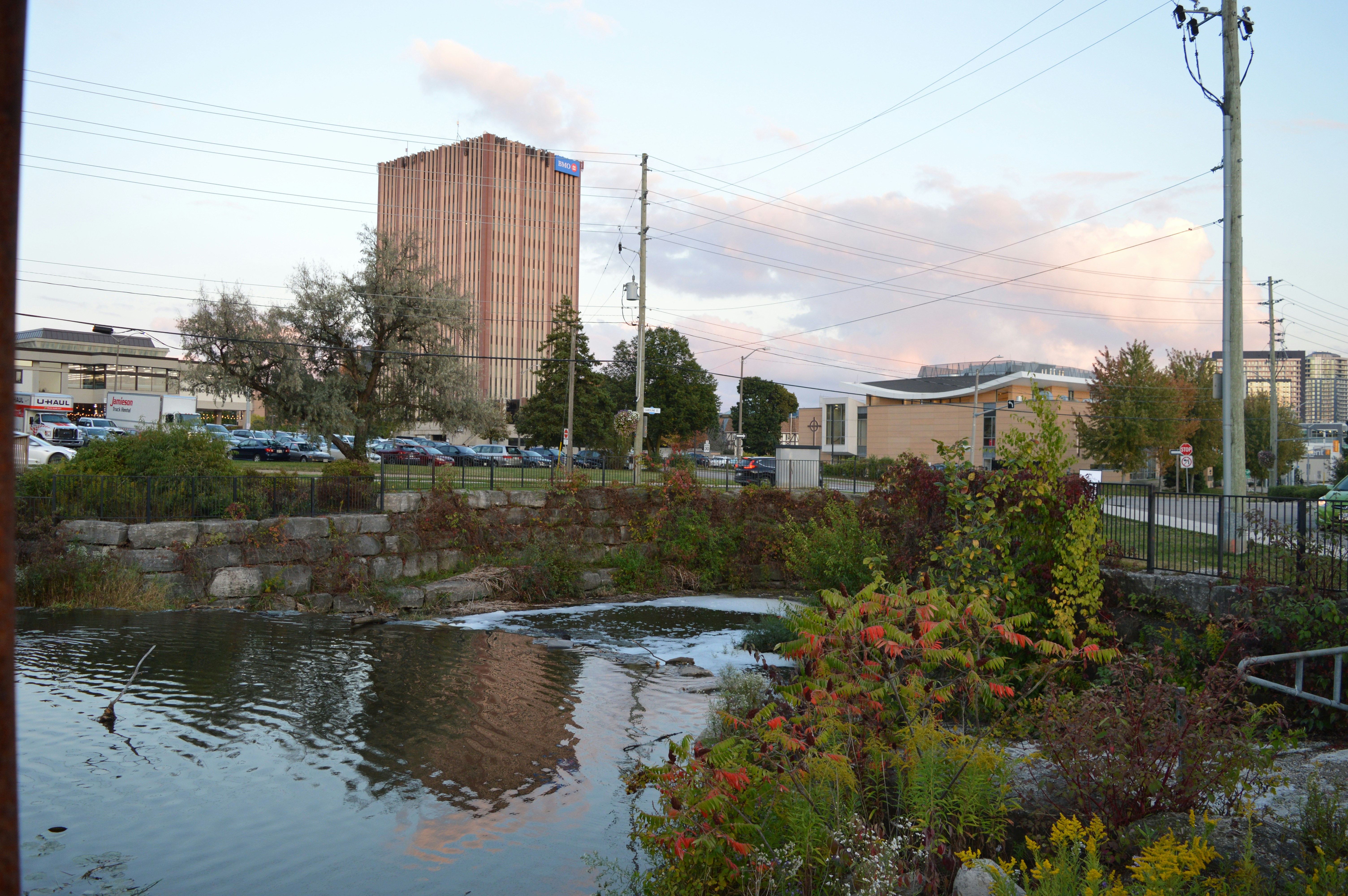 Urban Oasis: Nature Meets City Life
