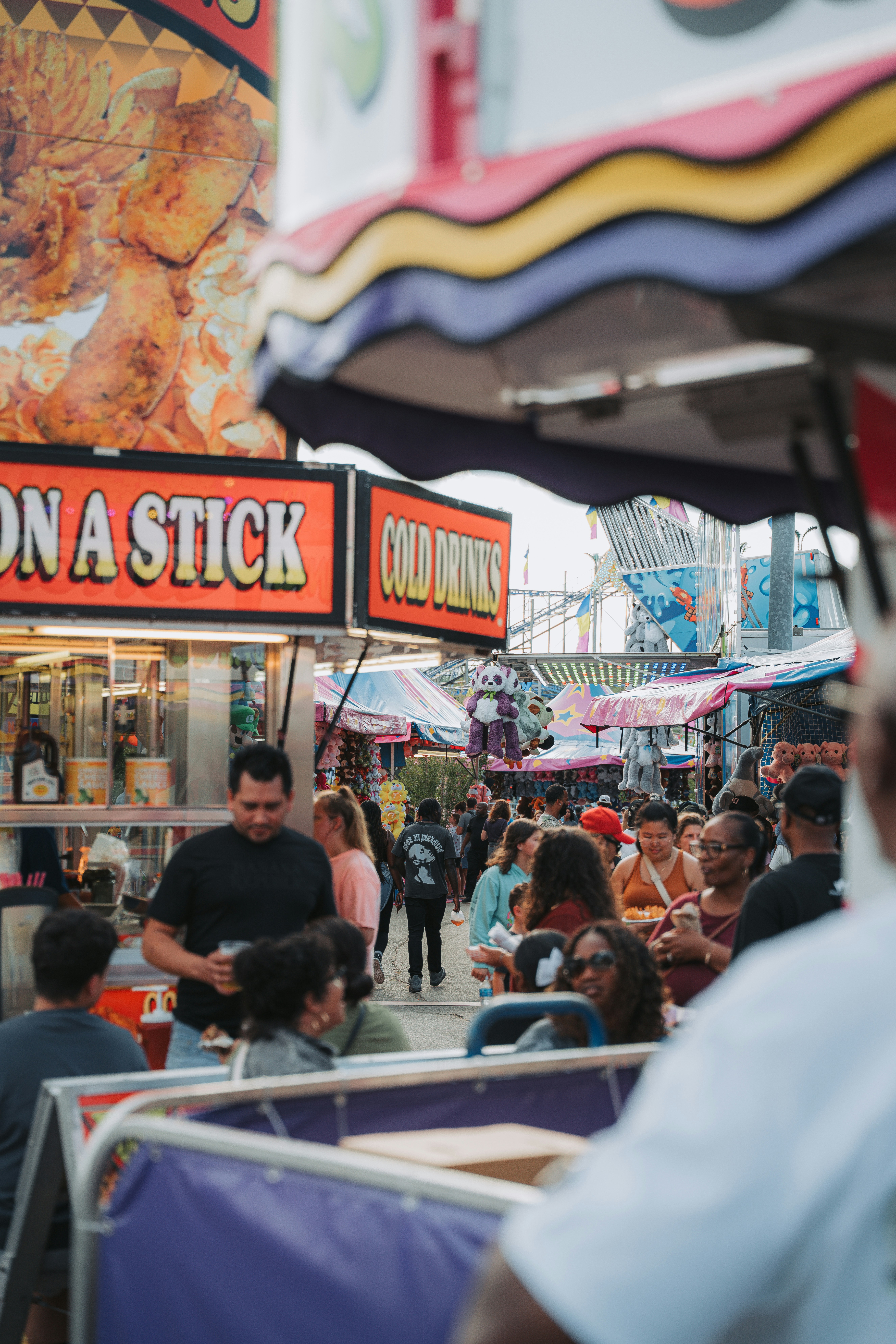 Photo by Dominic Chasse with Sony Alpha 7R IIIA