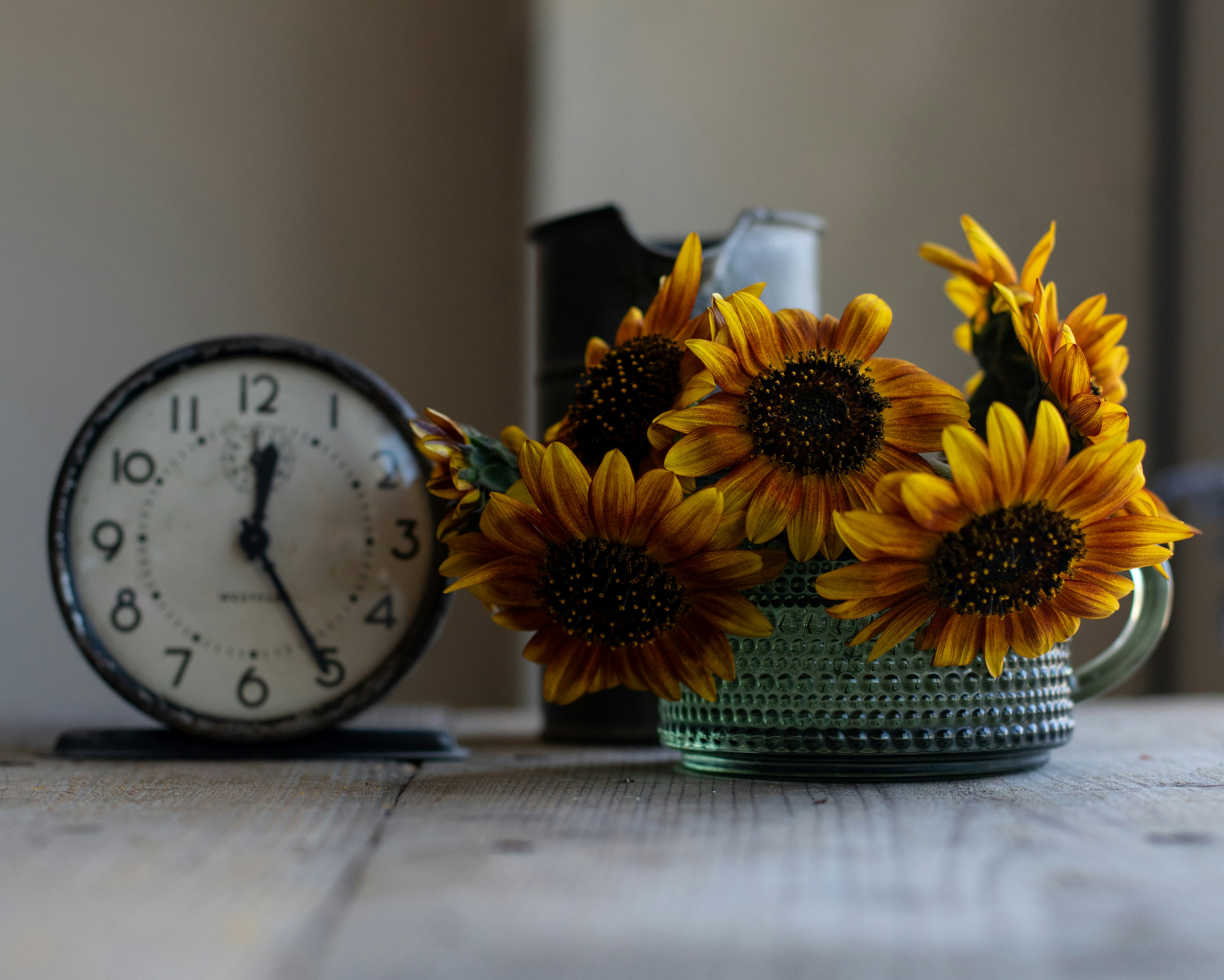 Timeless Blooms: A Quiet Morning Scene