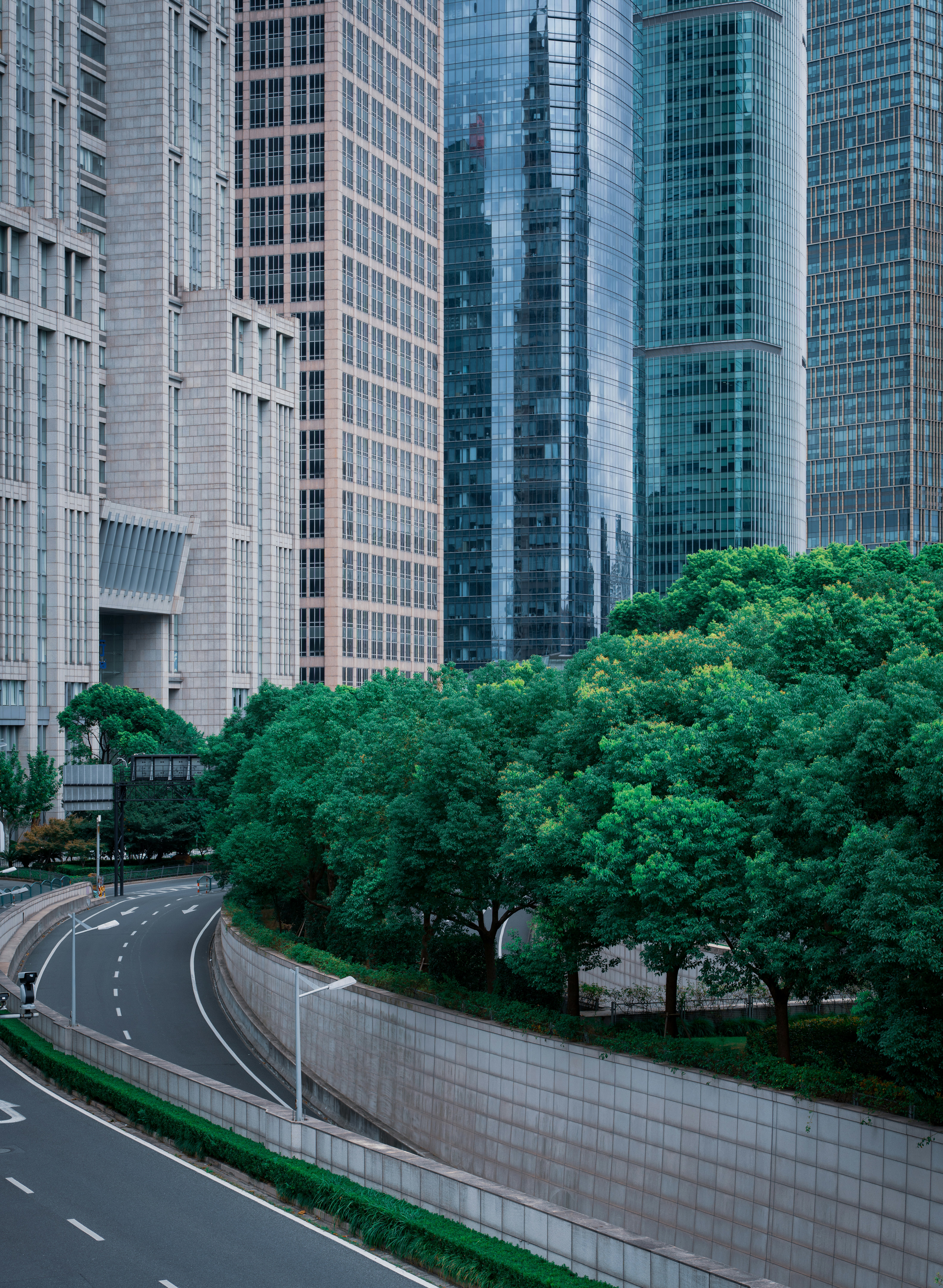A blend of modern skyscrapers and lush greenery, showcasing the harmony between urban development and nature.
