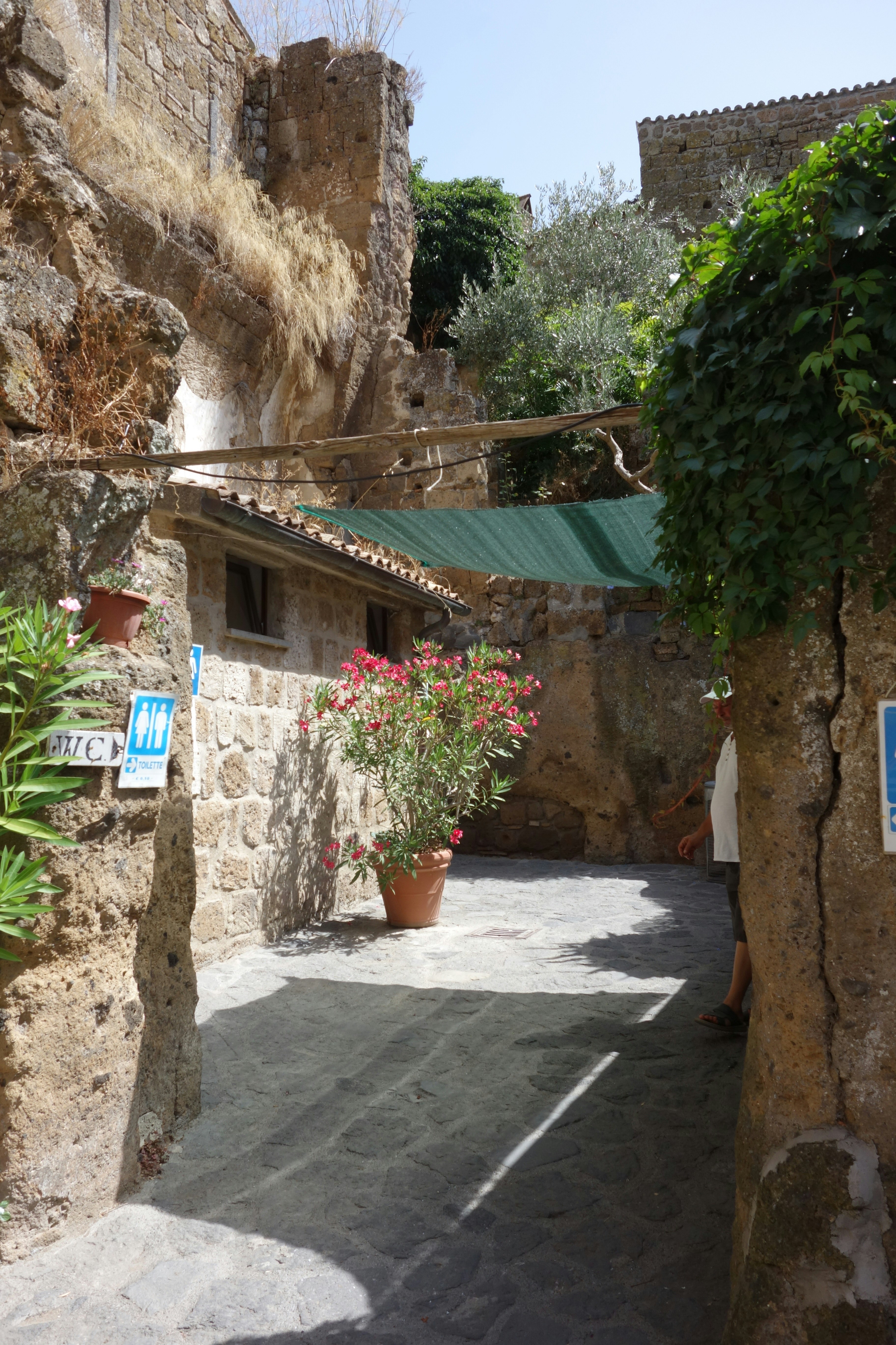 Whispers of History in a Sunlit Alley